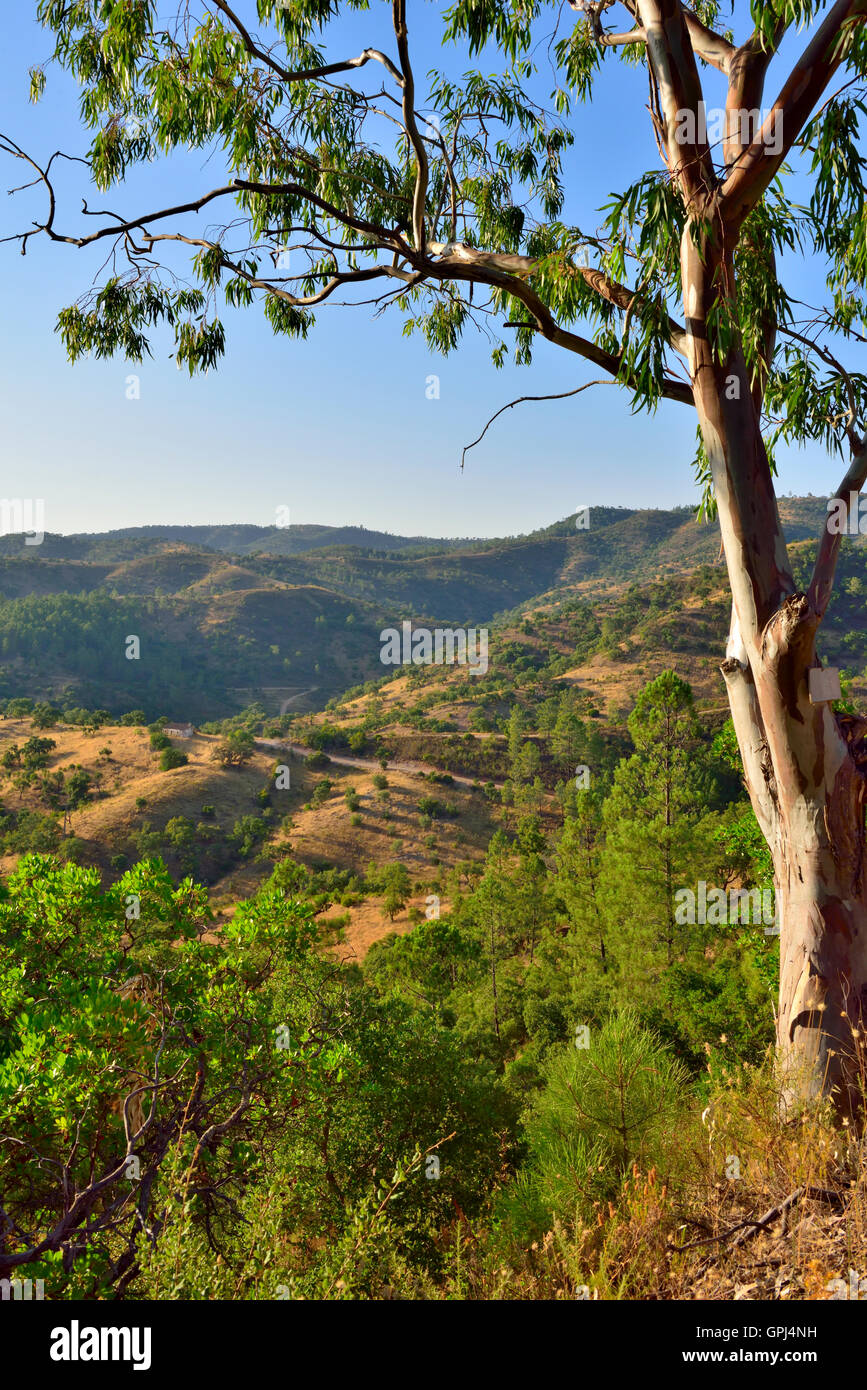 Portugal algarve barranco velho in hi-res stock photography and images ...