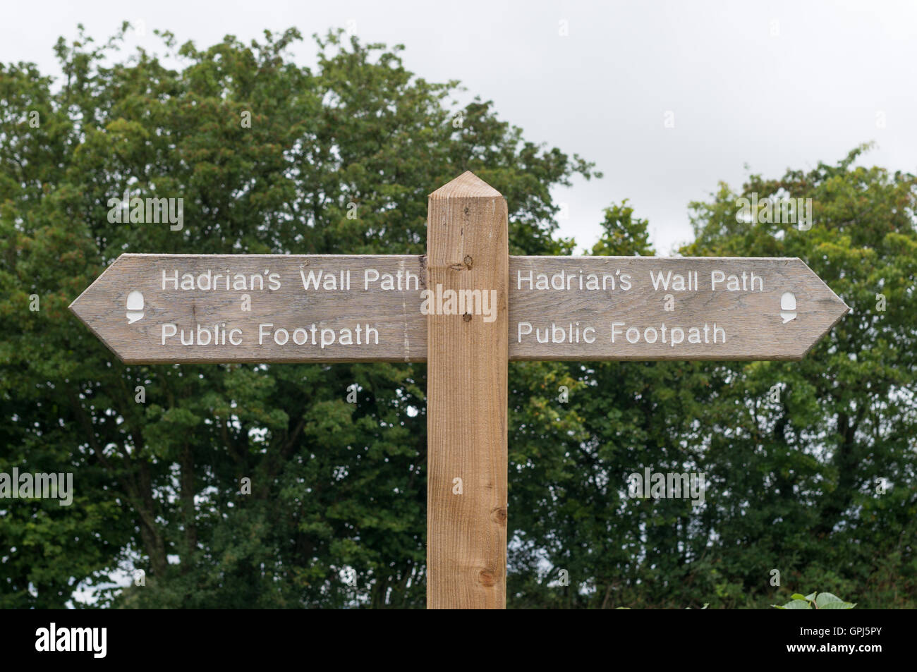 Hadrian's Wall Path wooden signpost, near Brampton, Cumbria, England ...