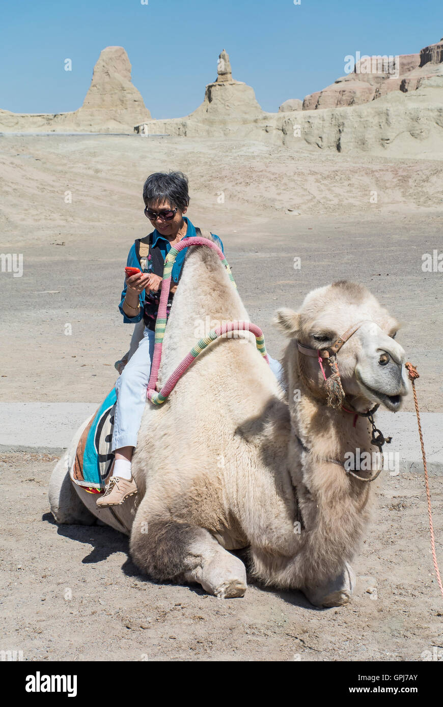 Camelini hi-res stock photography and images - Alamy