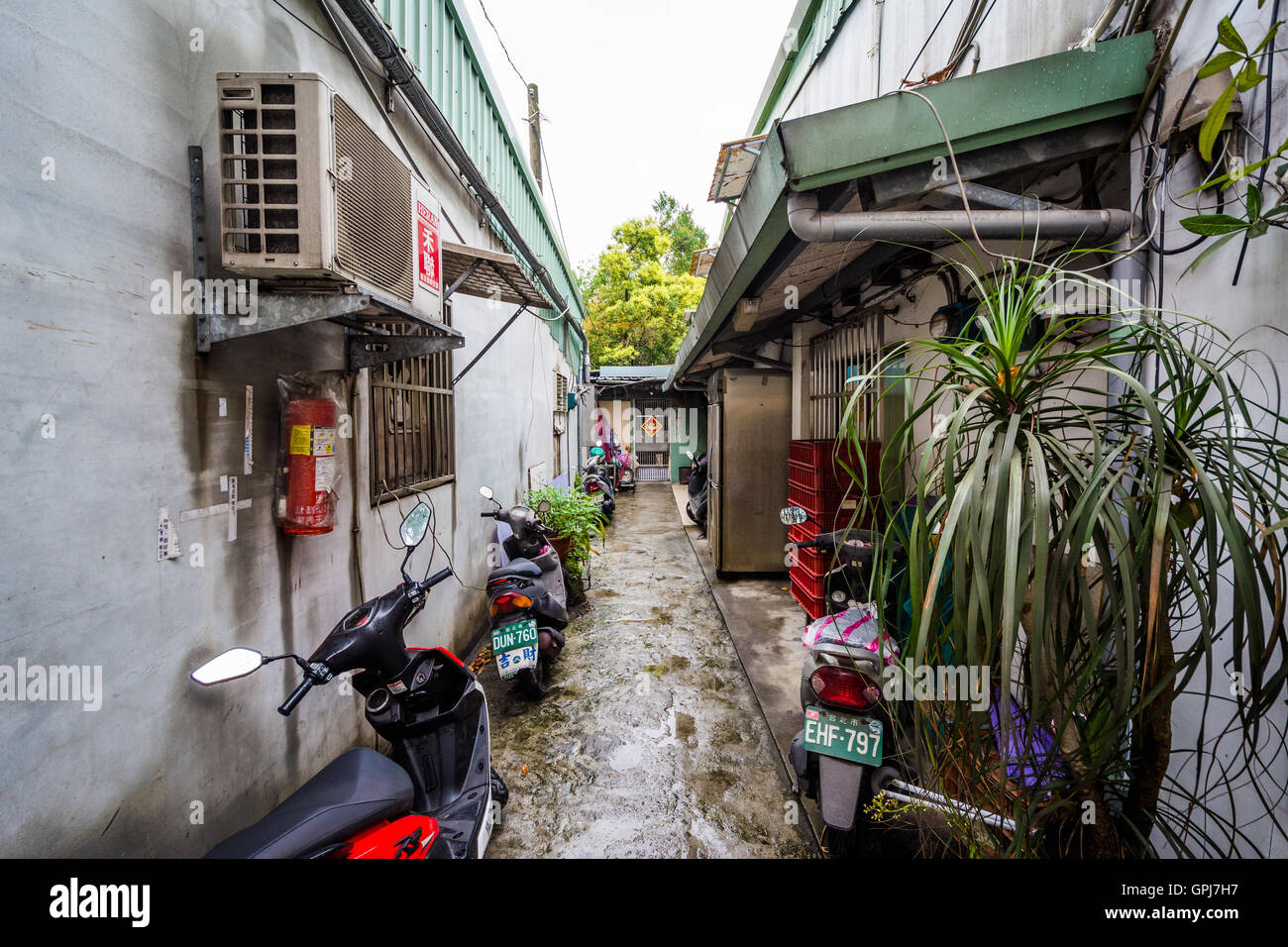 Alley in the Wanhua District, in Taipei, Taiwan Stock Photo - Alamy