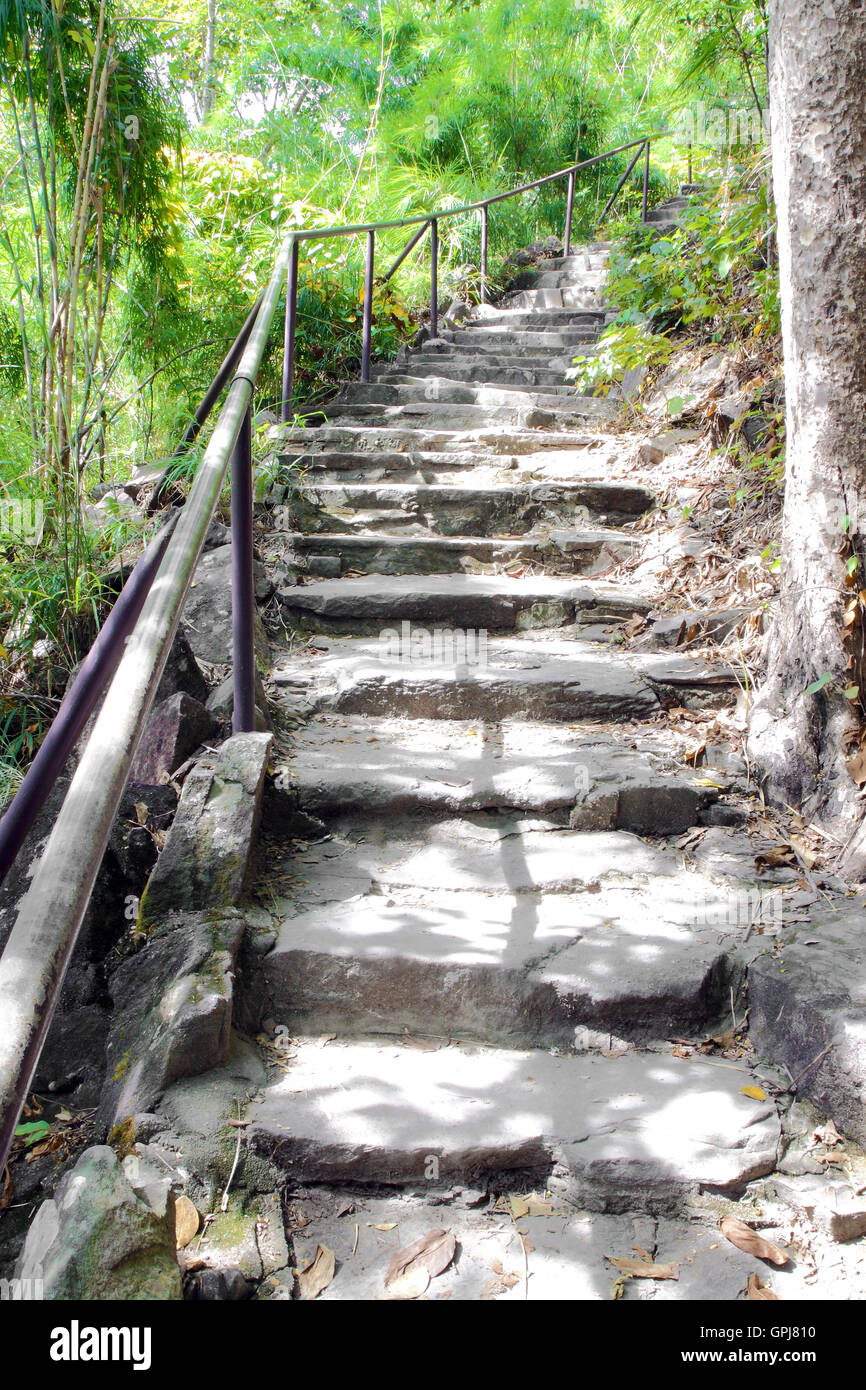 stone stair at Pha Tam park, Thailand Stock Photo - Alamy