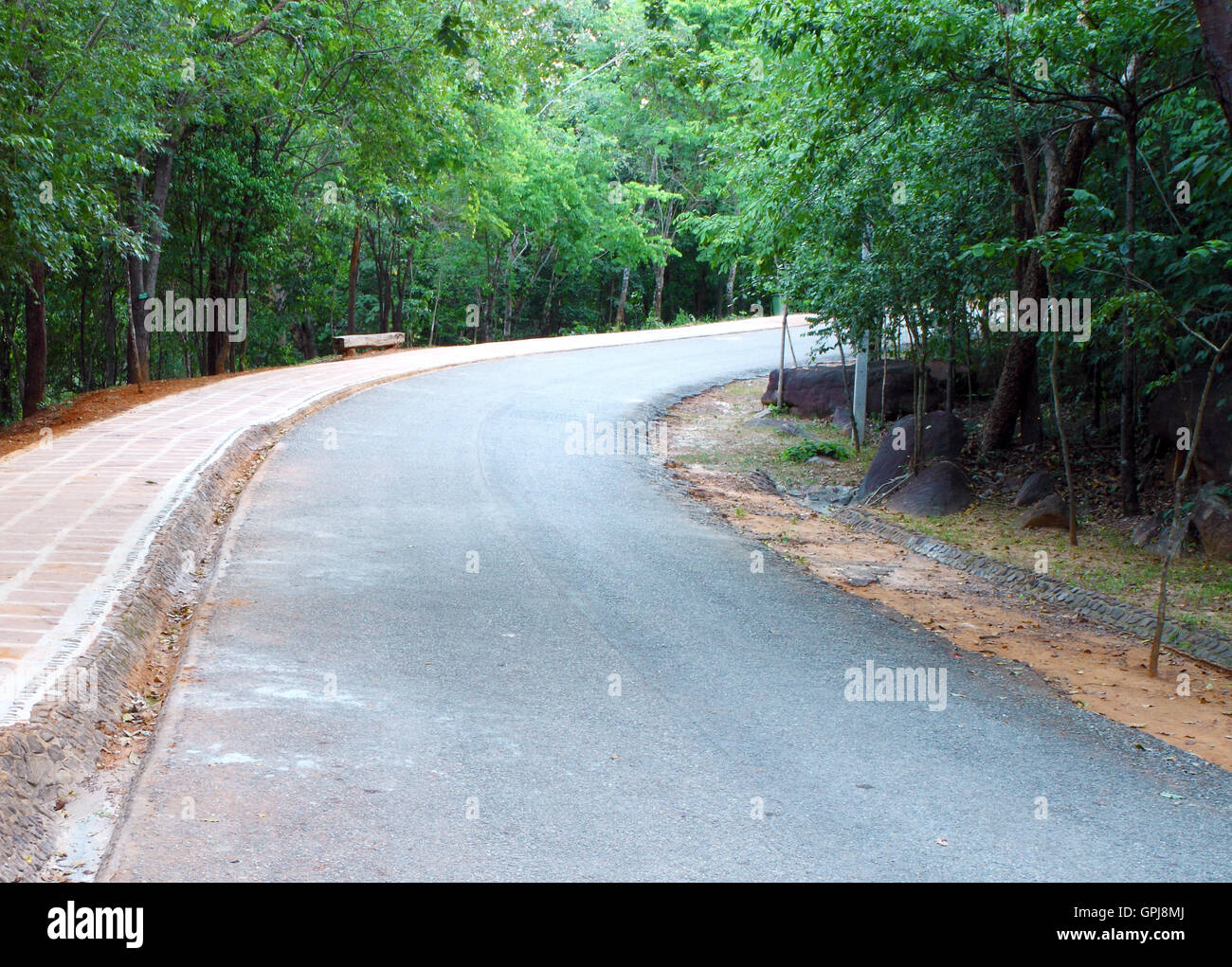 curved road with trees on both sides Stock Photo - Alamy