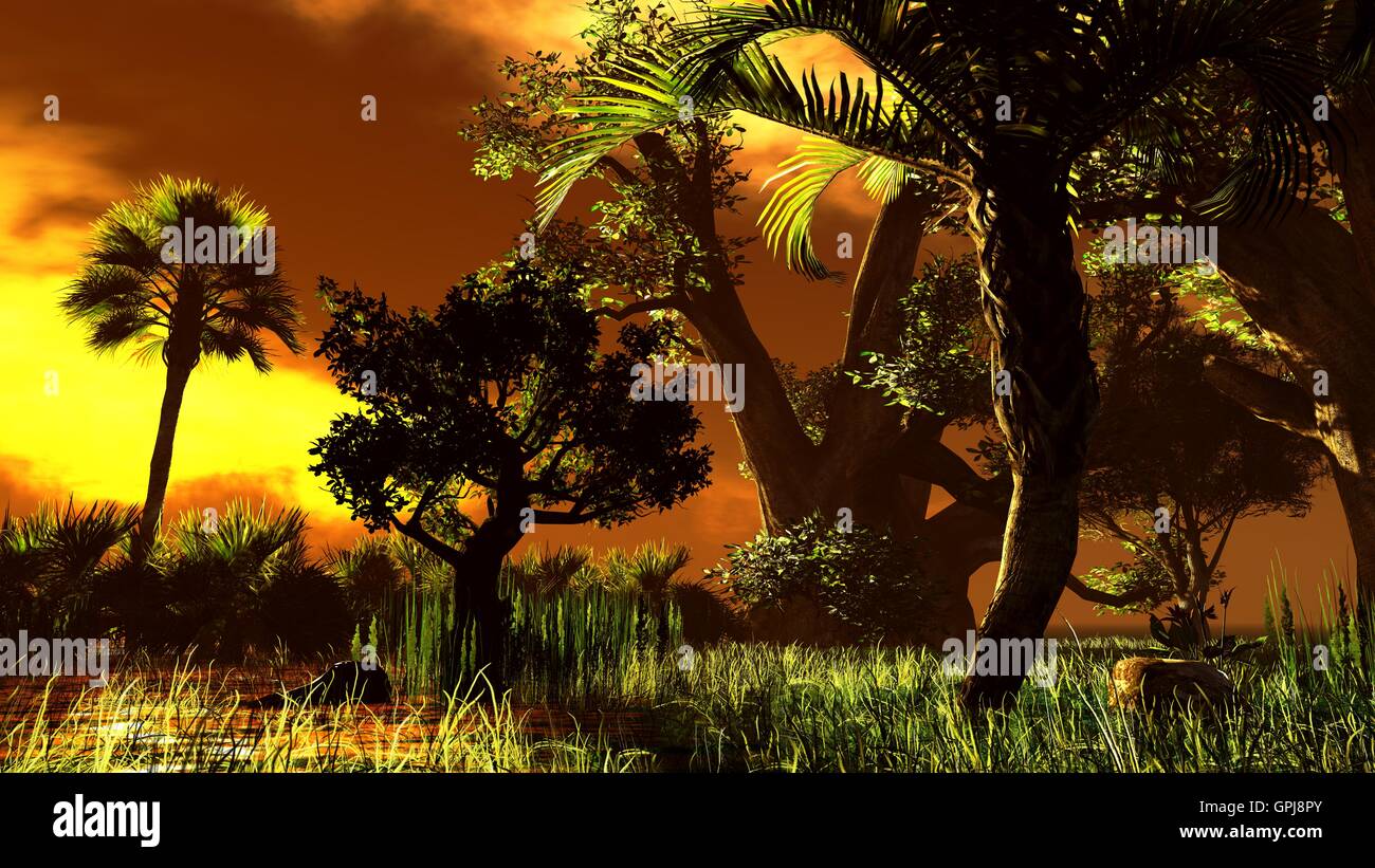 Wetland - swamp Stock Photo - Alamy