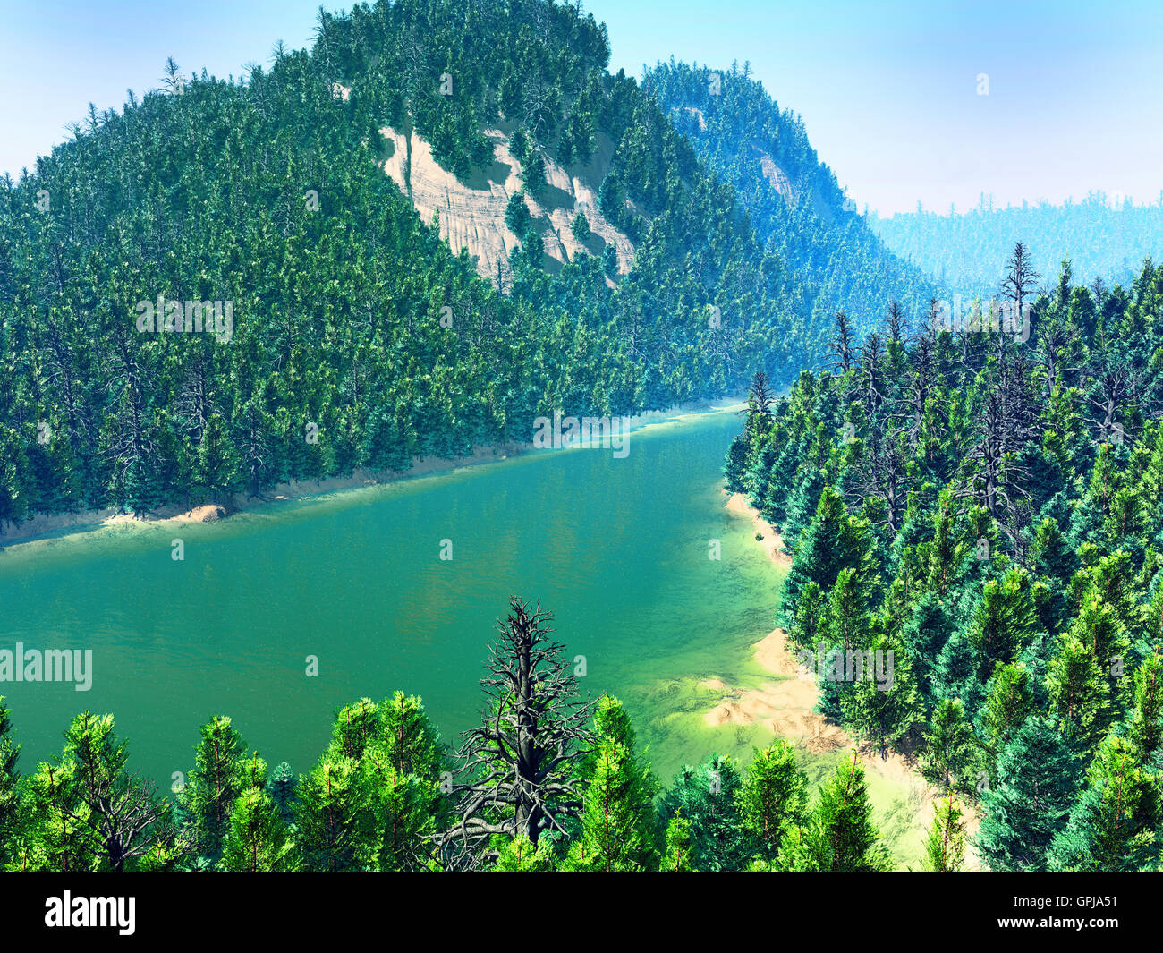 Siberian firs hi-res stock photography and images - Alamy