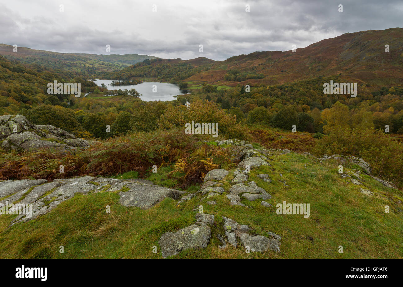 Rydal water, Lake District Stock Photo - Alamy