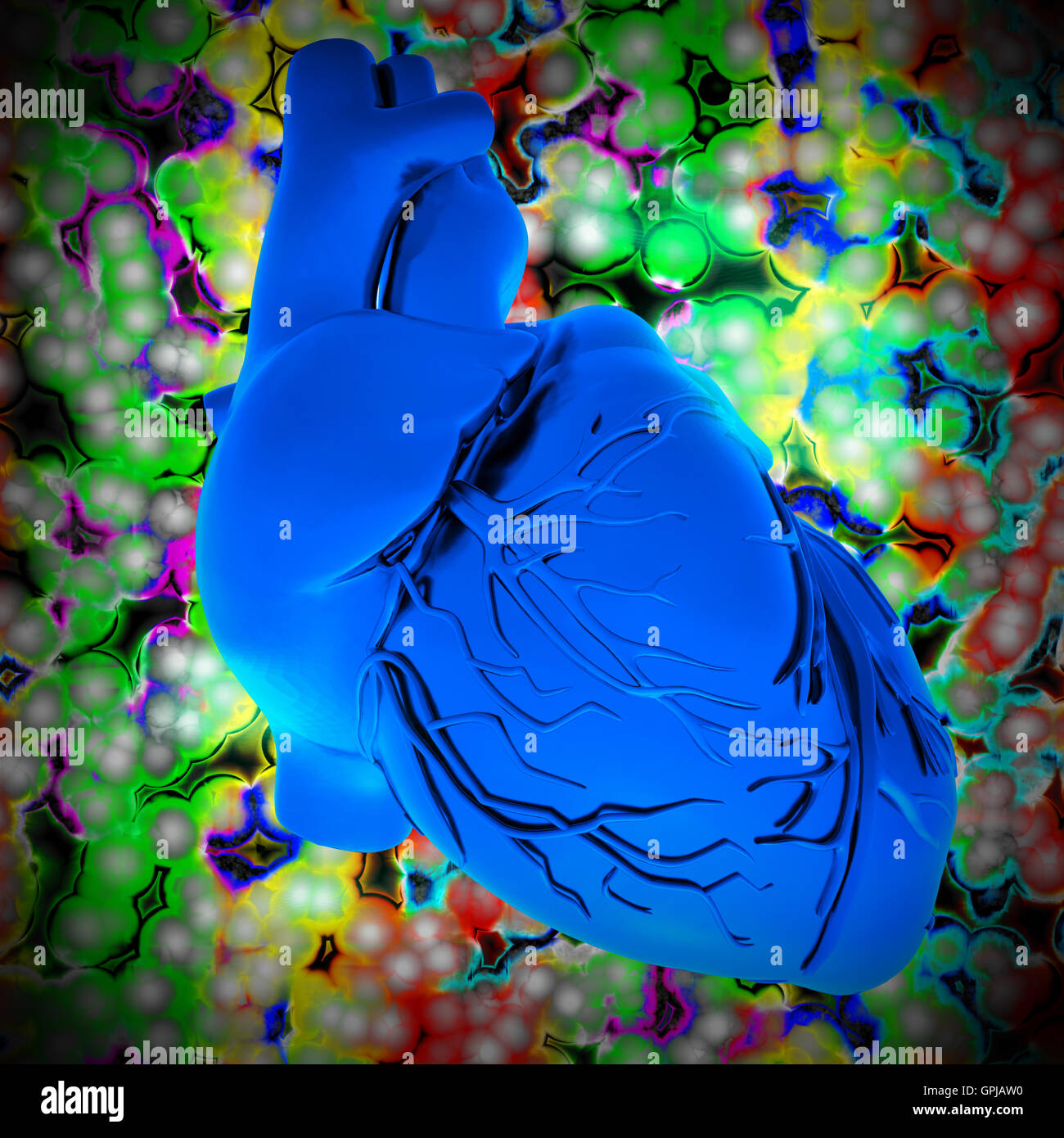 Model of human heart hi-res stock photography and images - Alamy
