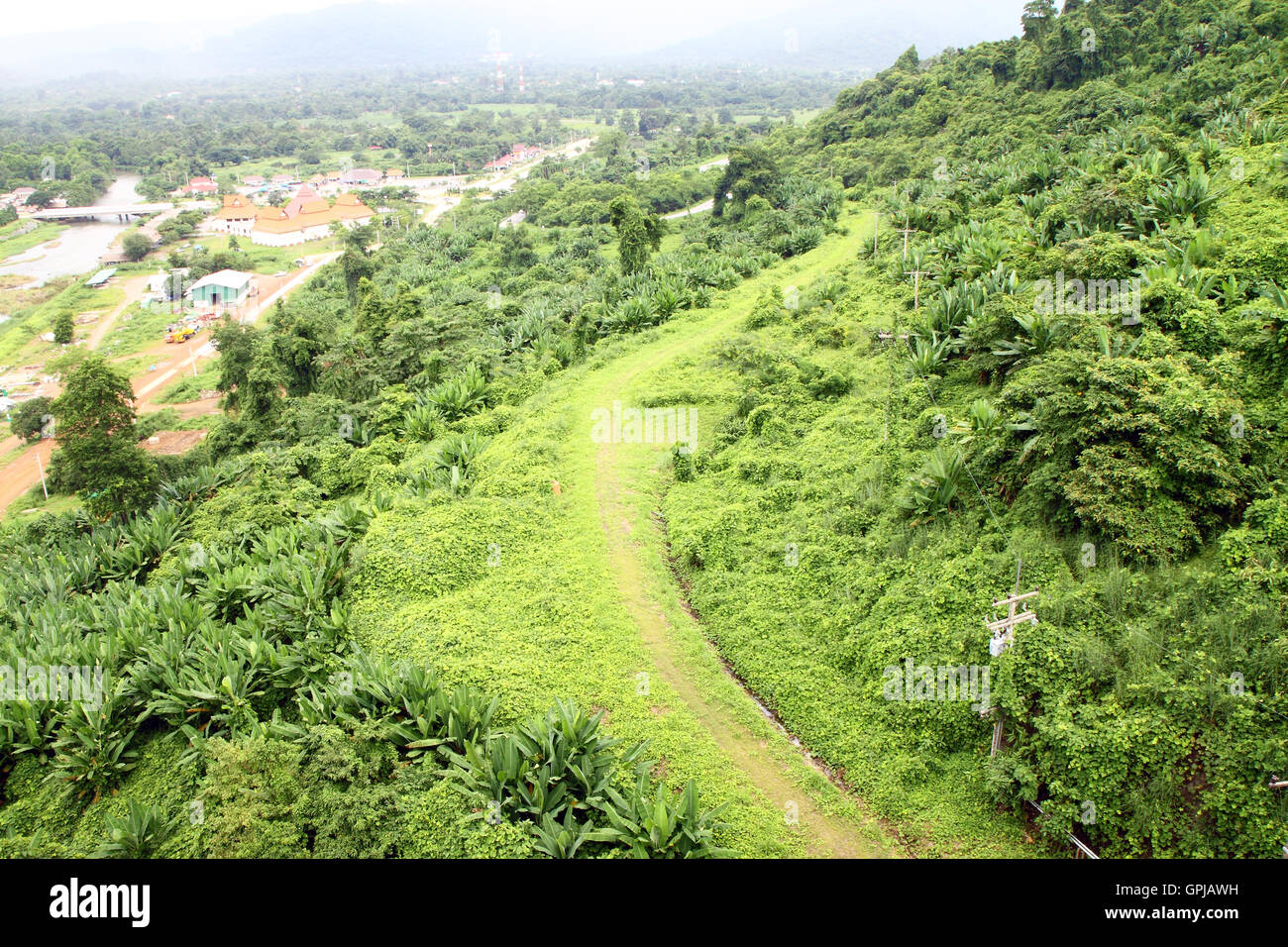 small green walk way Stock Photo - Alamy