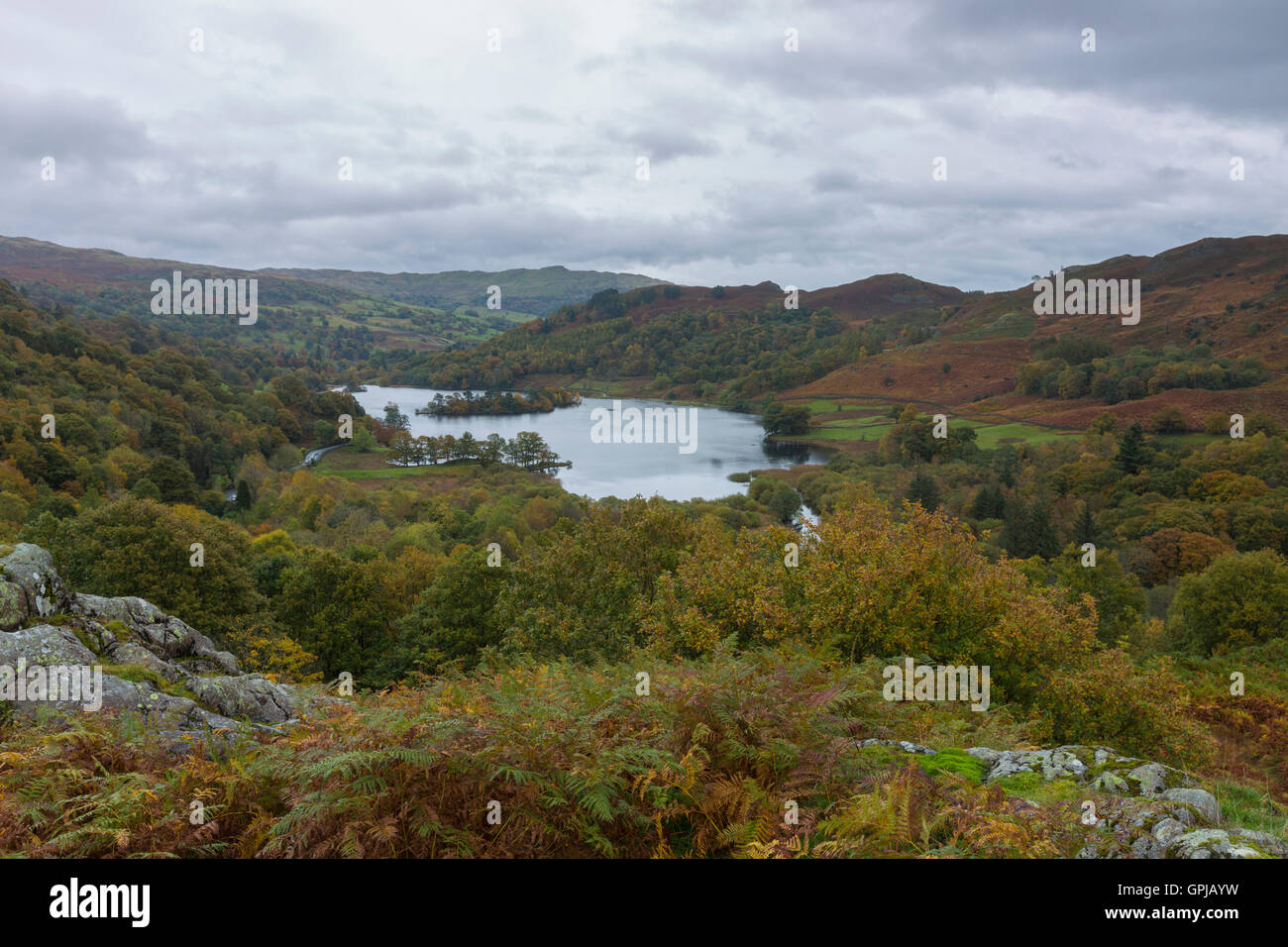 Rydal water, Lake District Stock Photo - Alamy