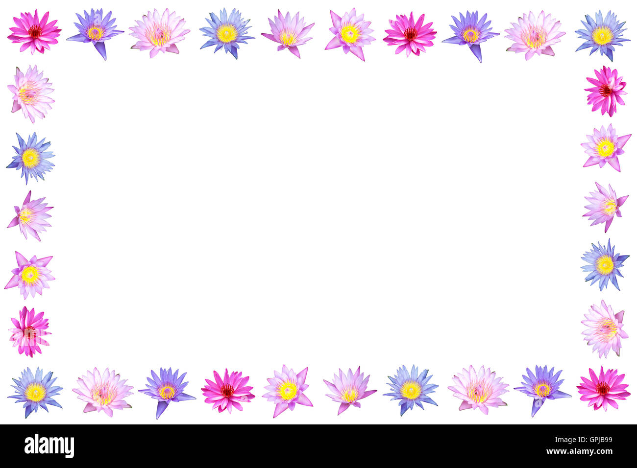 lotus frame on white Stock Photo - Alamy