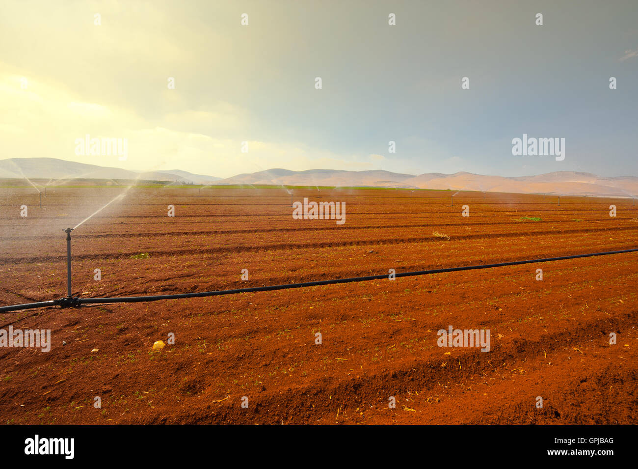 Holy water sprinkler hi-res stock photography and images - Alamy