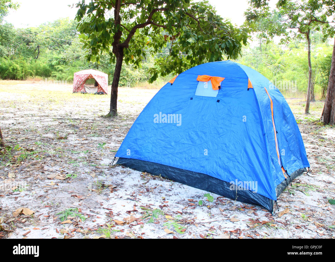 blue tent on the forest Stock Photo - Alamy