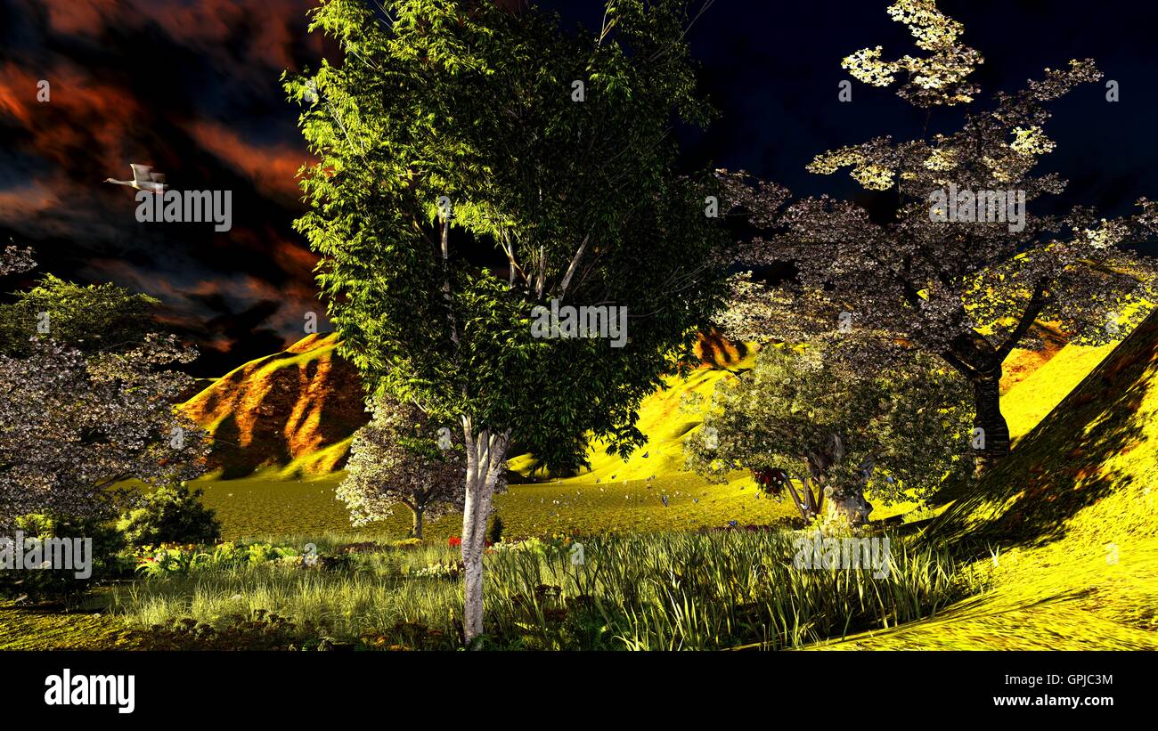 Orchard in early spring time Stock Photo - Alamy
