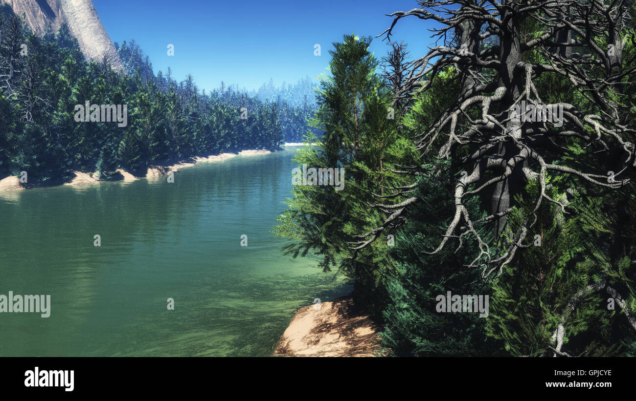 Siberian firs hi-res stock photography and images - Alamy