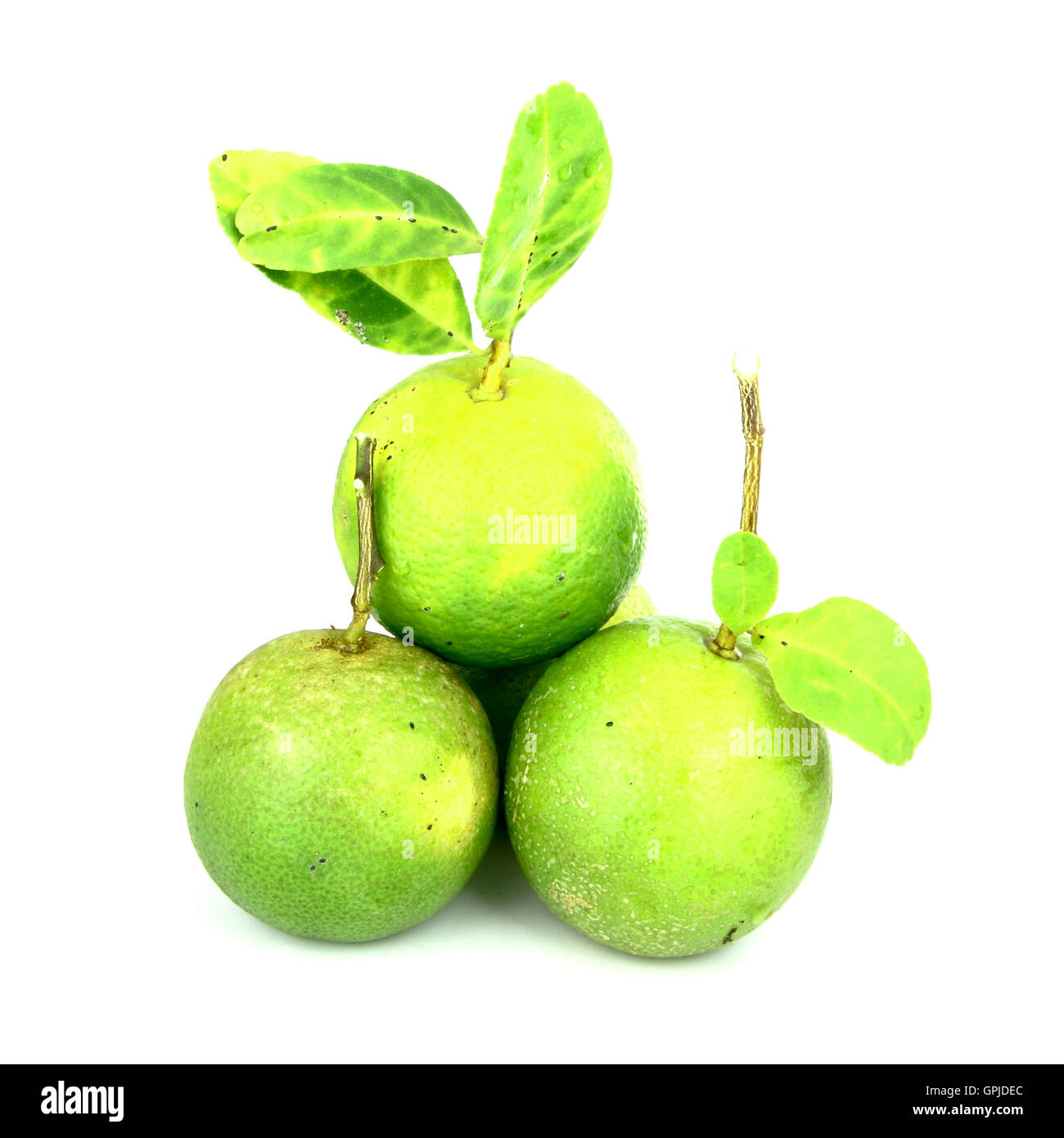 Eureka lemon hi-res stock photography and images - Alamy