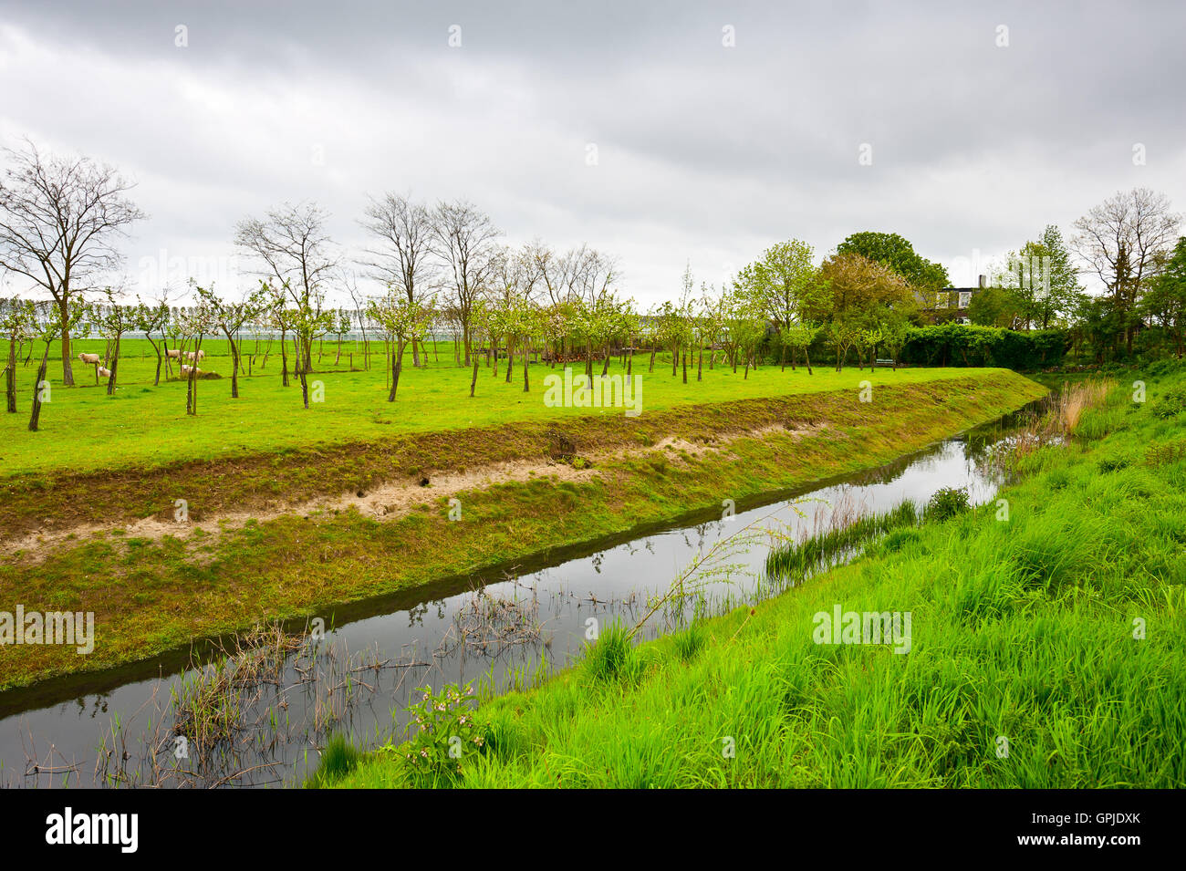 Dyke irrigation farm farming agriculture hi-res stock photography and ...