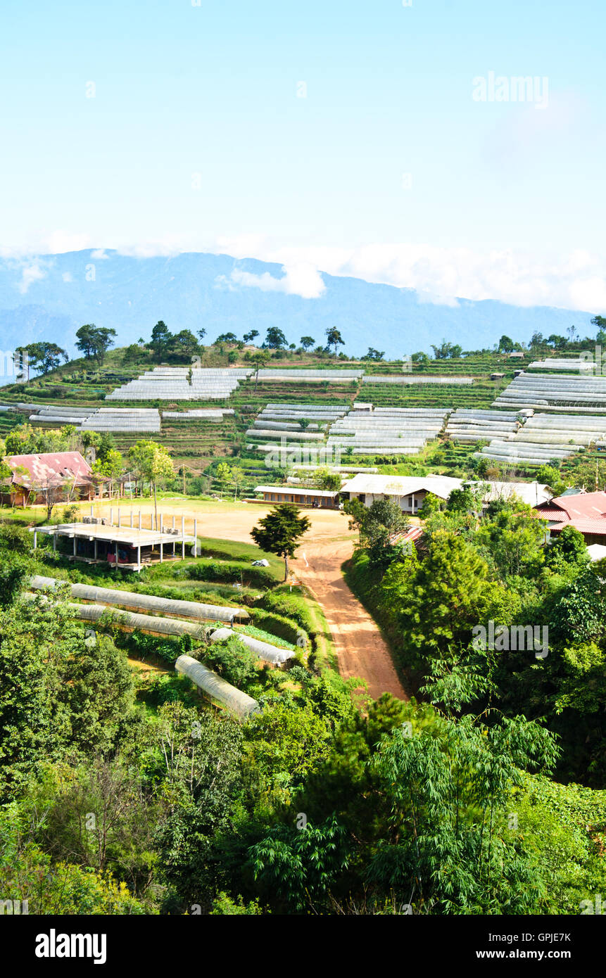 The Gravel road to terraced plant Stock Photo - Alamy