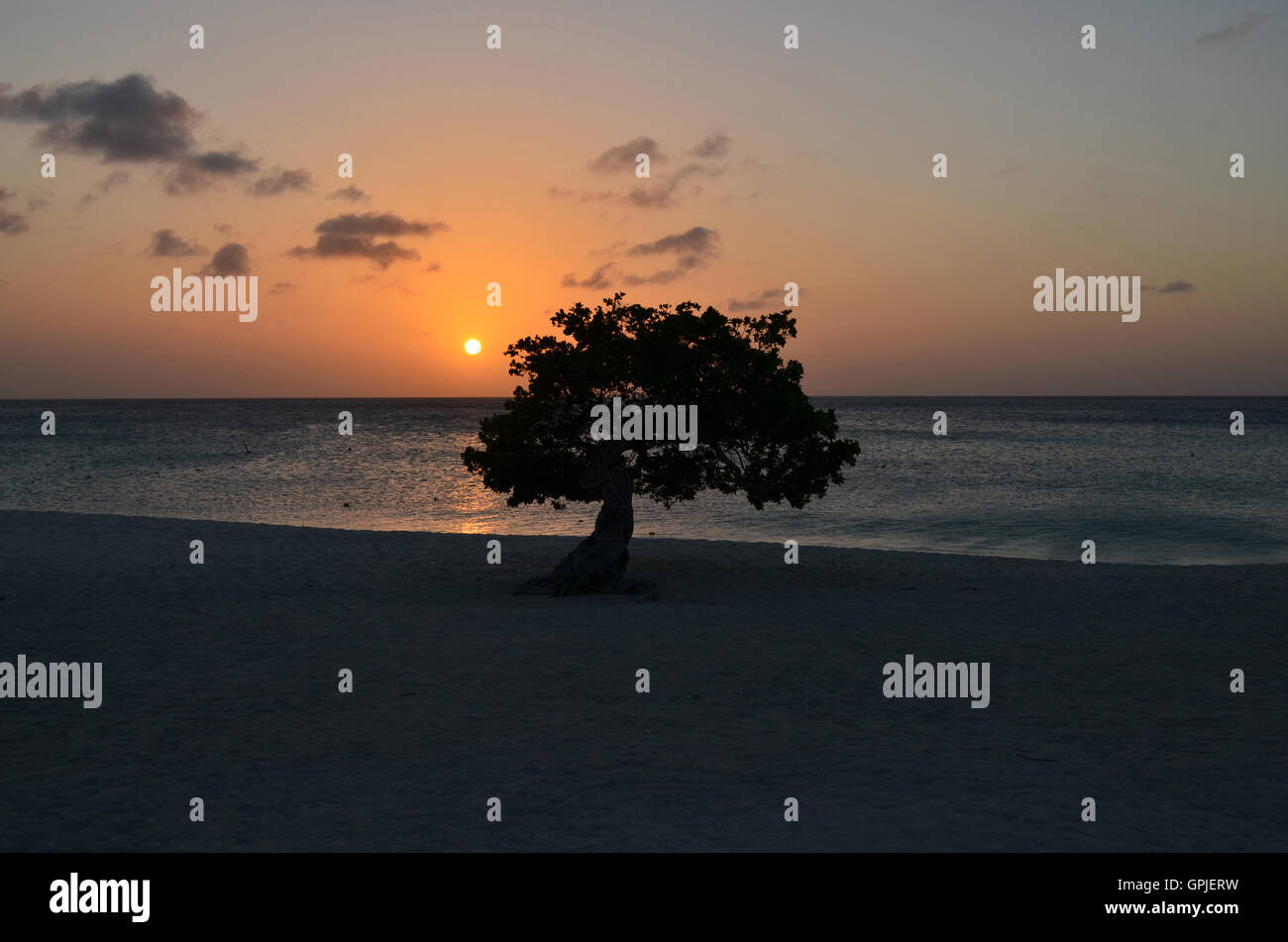 Pretty sunset on Eagle Beach in Aruba Stock Photo - Alamy