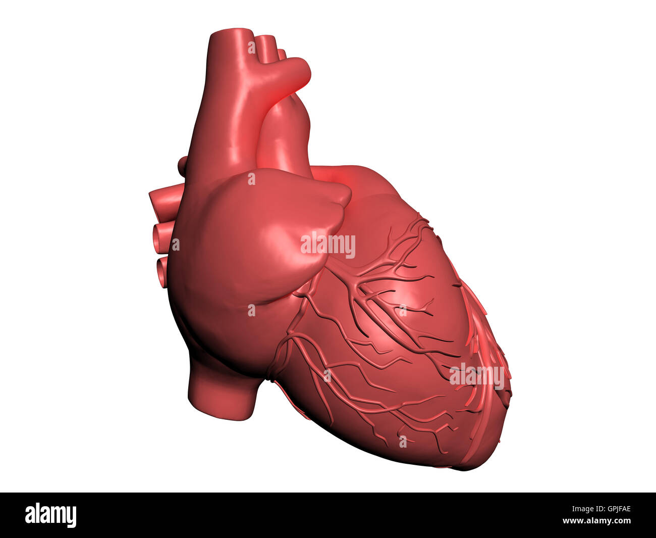 3d model test Cut Out Stock Images & Pictures - Alamy