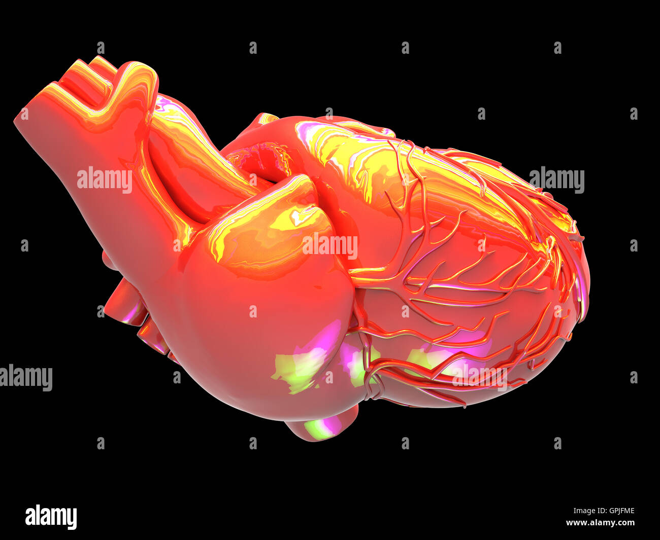 Human heart model 3d hi-res stock photography and images - Alamy