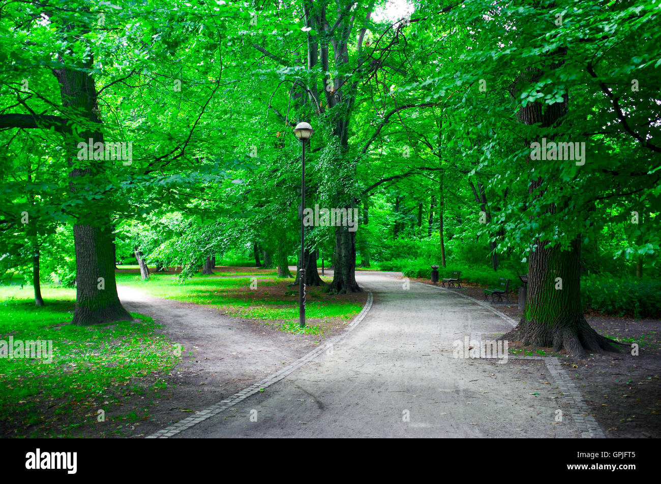Road in the park Stock Photo - Alamy