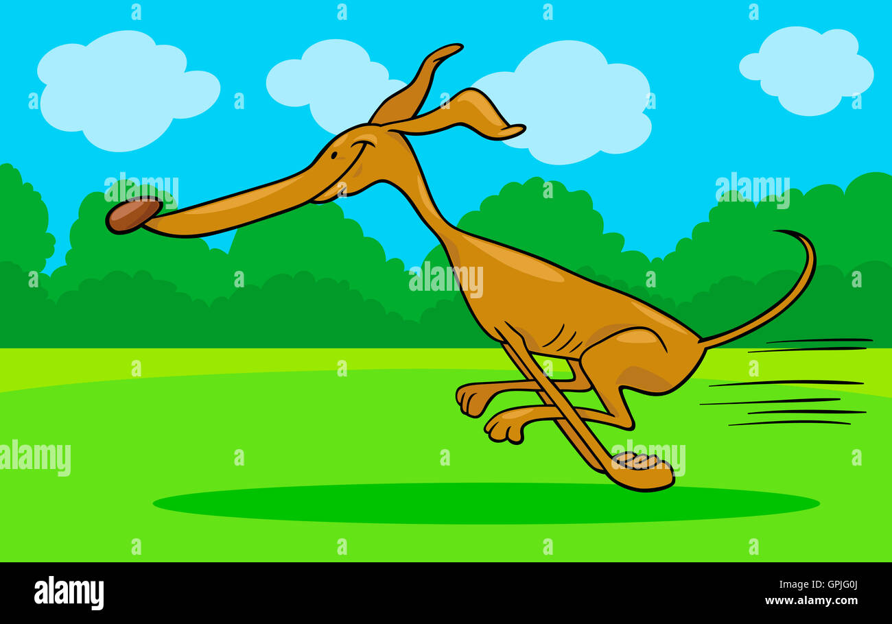 running greyhound cartoon illustration Stock Photo - Alamy