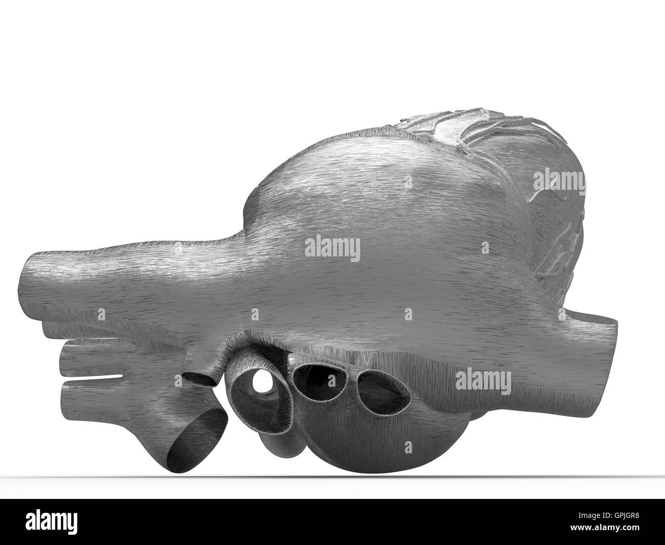 Model of artificial human heart Stock Photo - Alamy