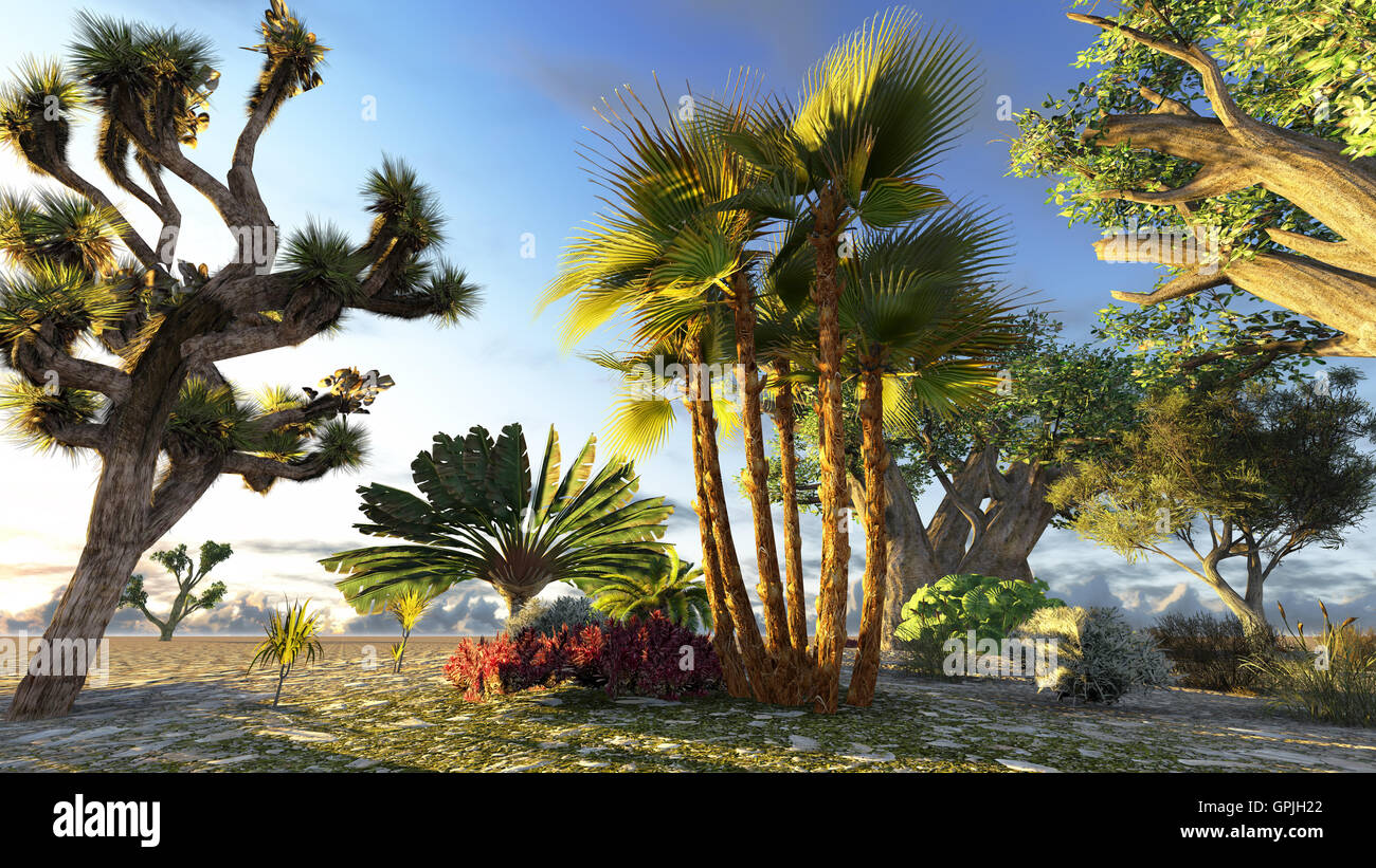 Traveller's tree (ravenala madagascariensis Stock Photo - Alamy