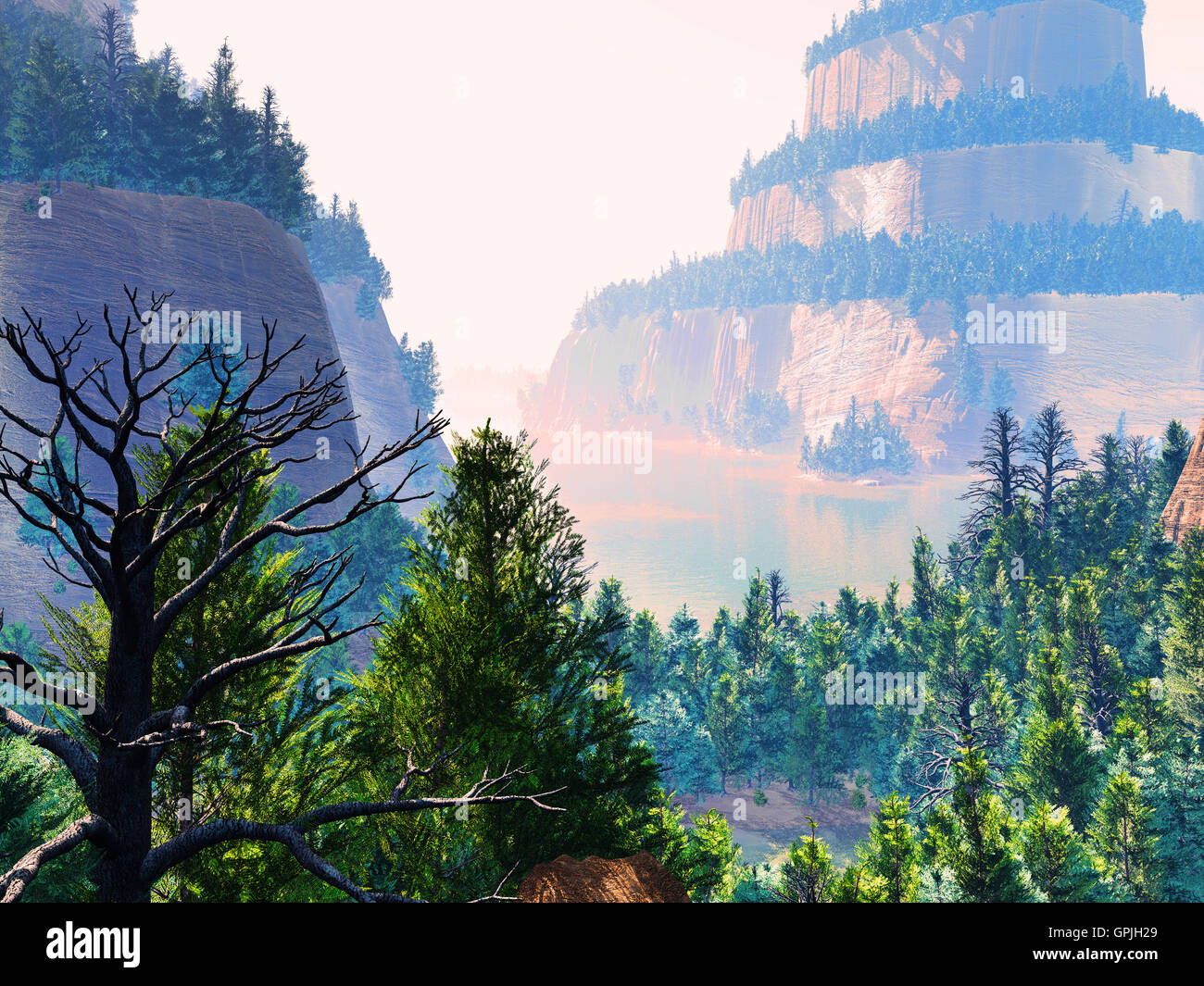 Siberian firs hi-res stock photography and images - Alamy