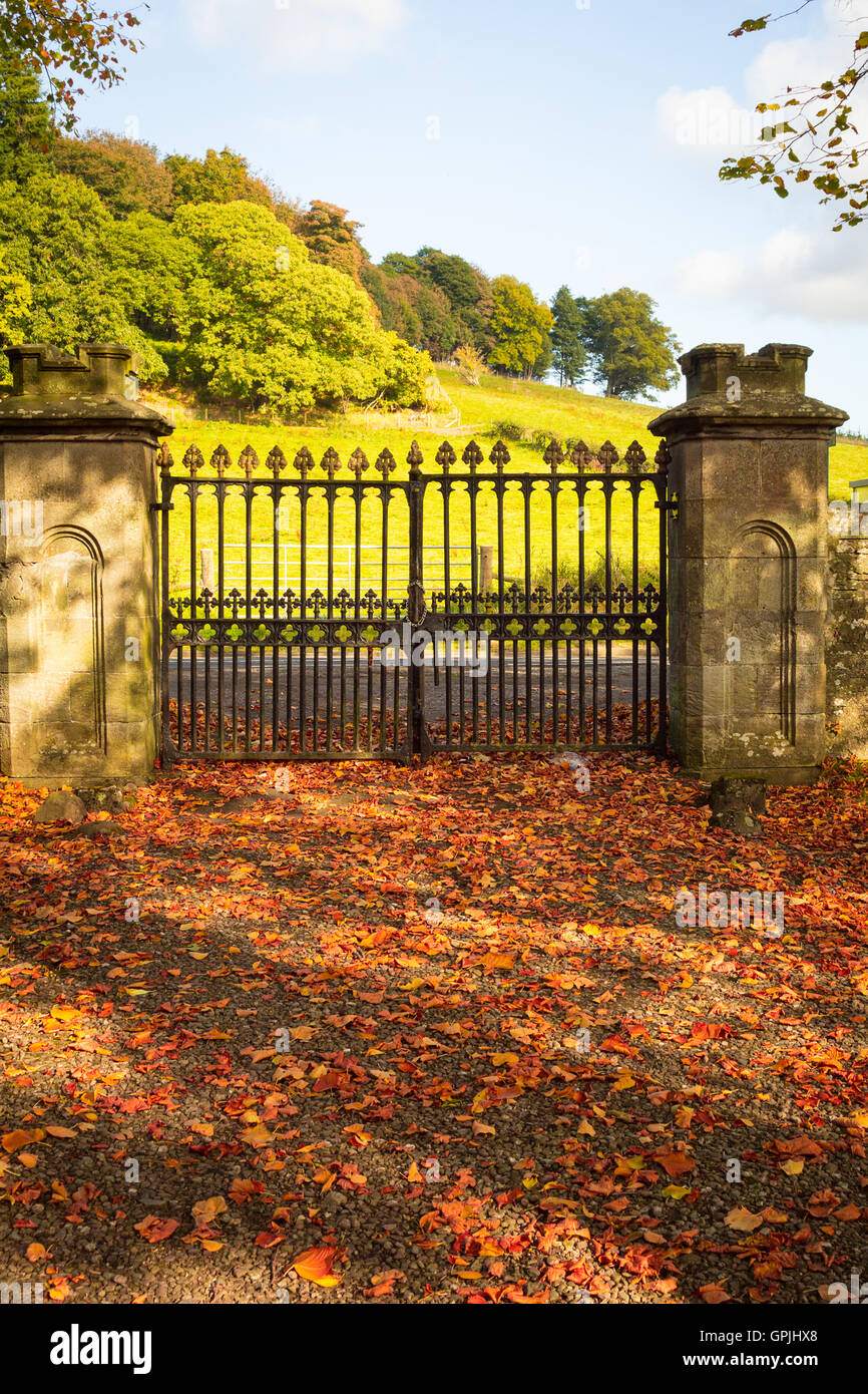 Old, beautiful iron gate at the old Scottish church in Autumn Stock ...