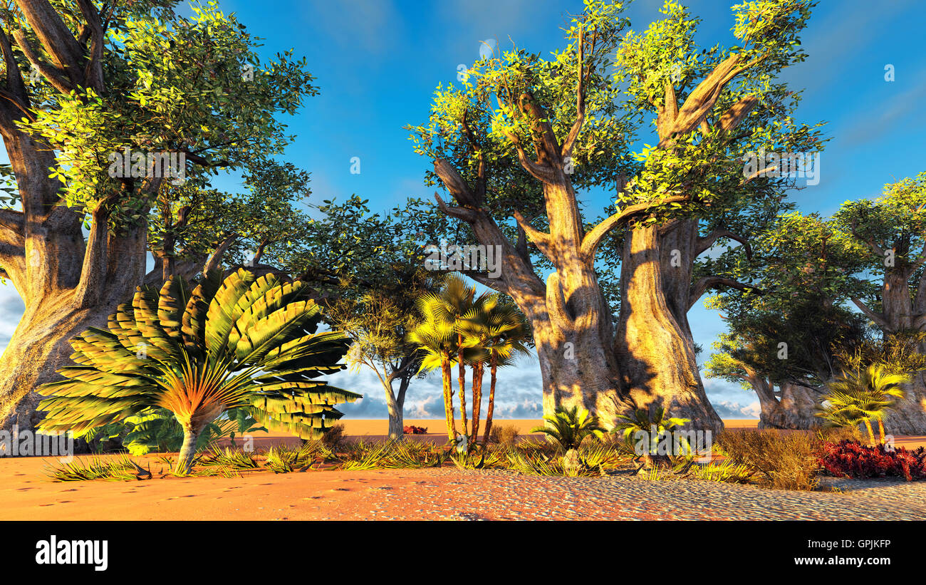 Traveller's tree (ravenala madagascariensis Stock Photo - Alamy