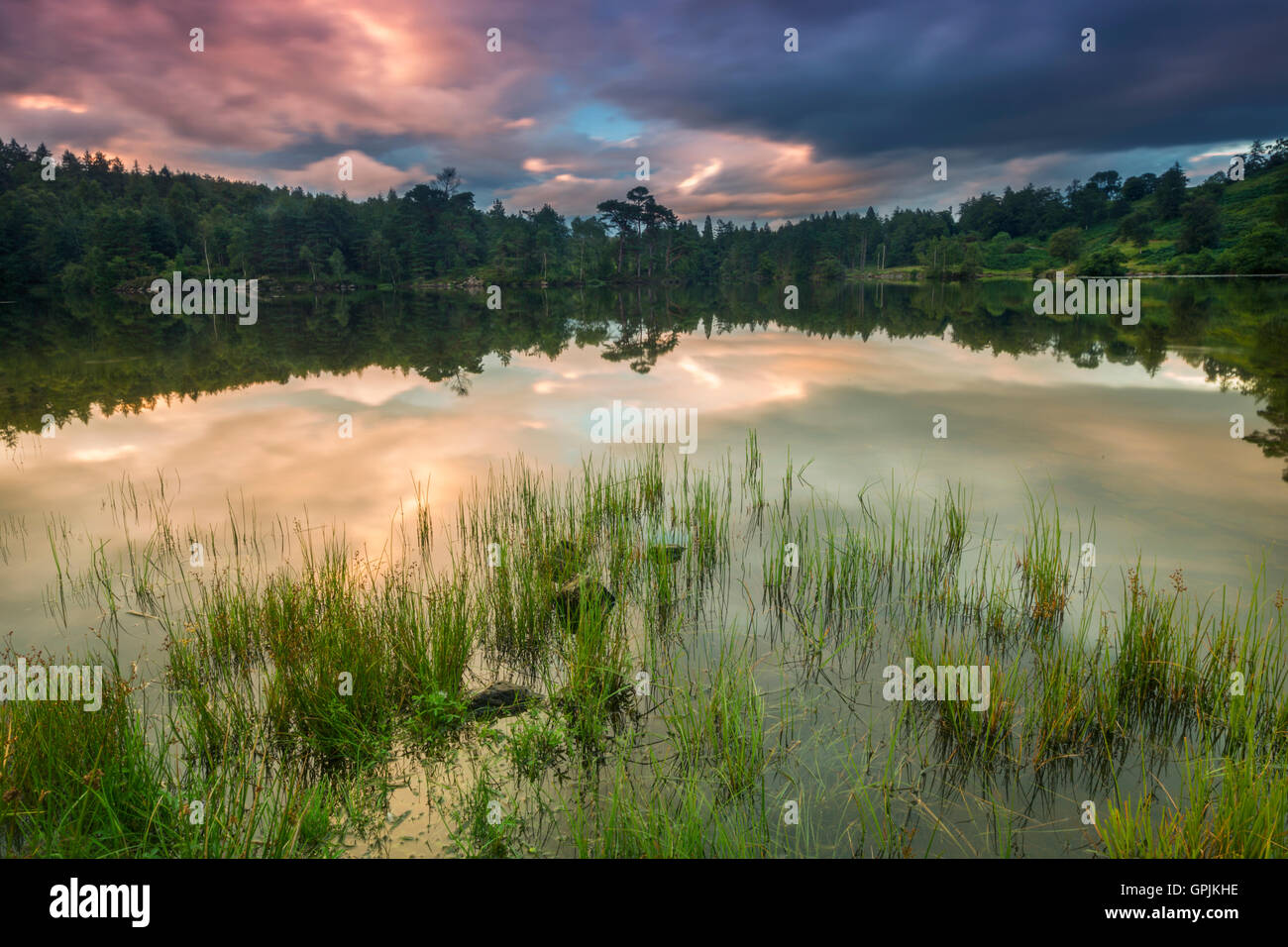 Hows Tarn, Lake District, Sunset set Stock Photo - Alamy