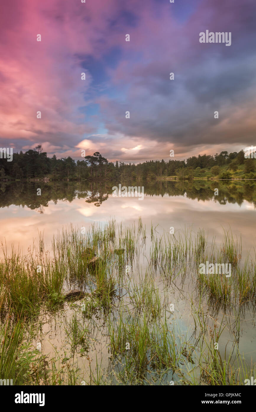 Hows Tarn, Lake District Stock Photo - Alamy