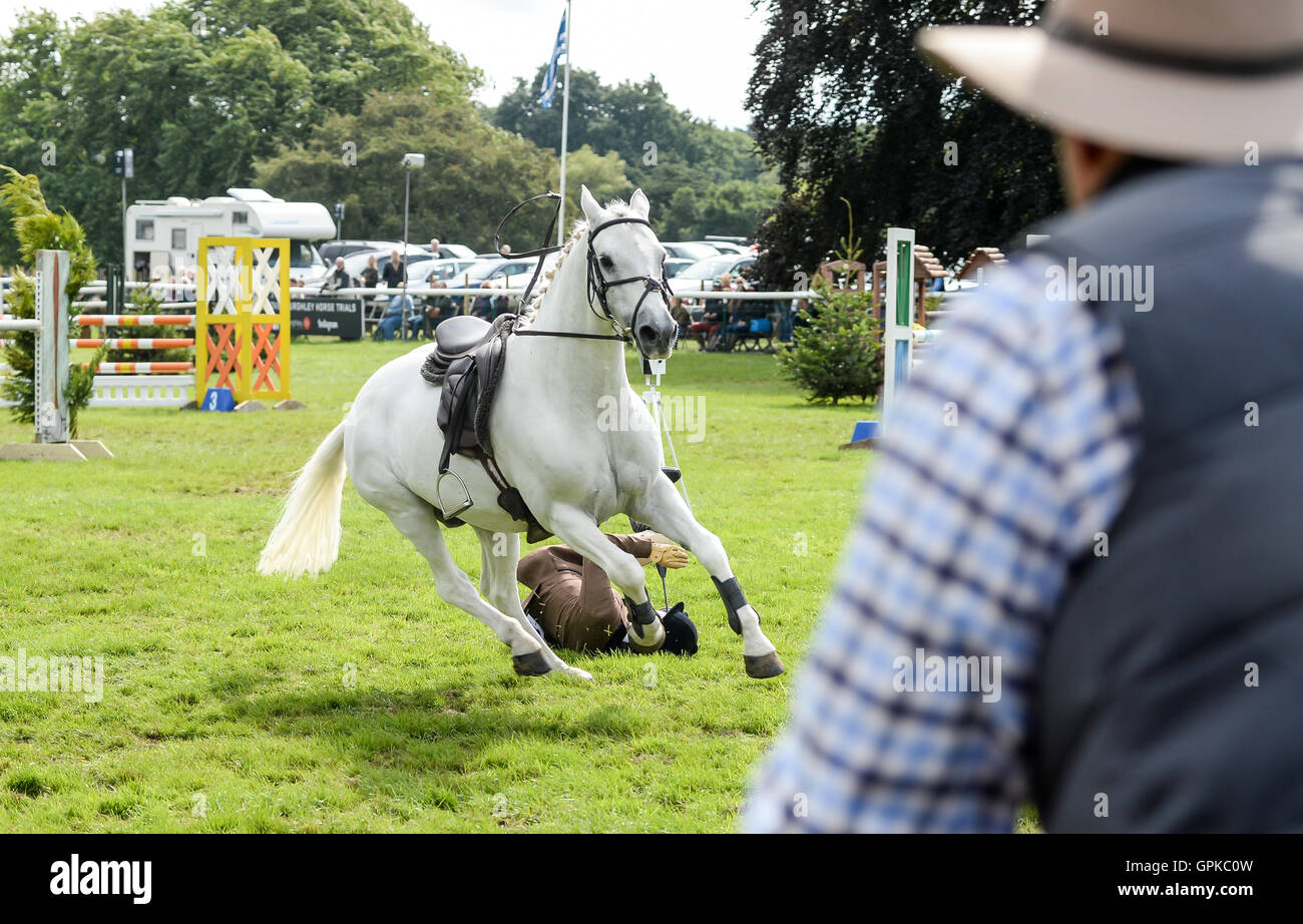 Stamford Lincolnshire September 4th 2016: Child rider takes a dramatic ...