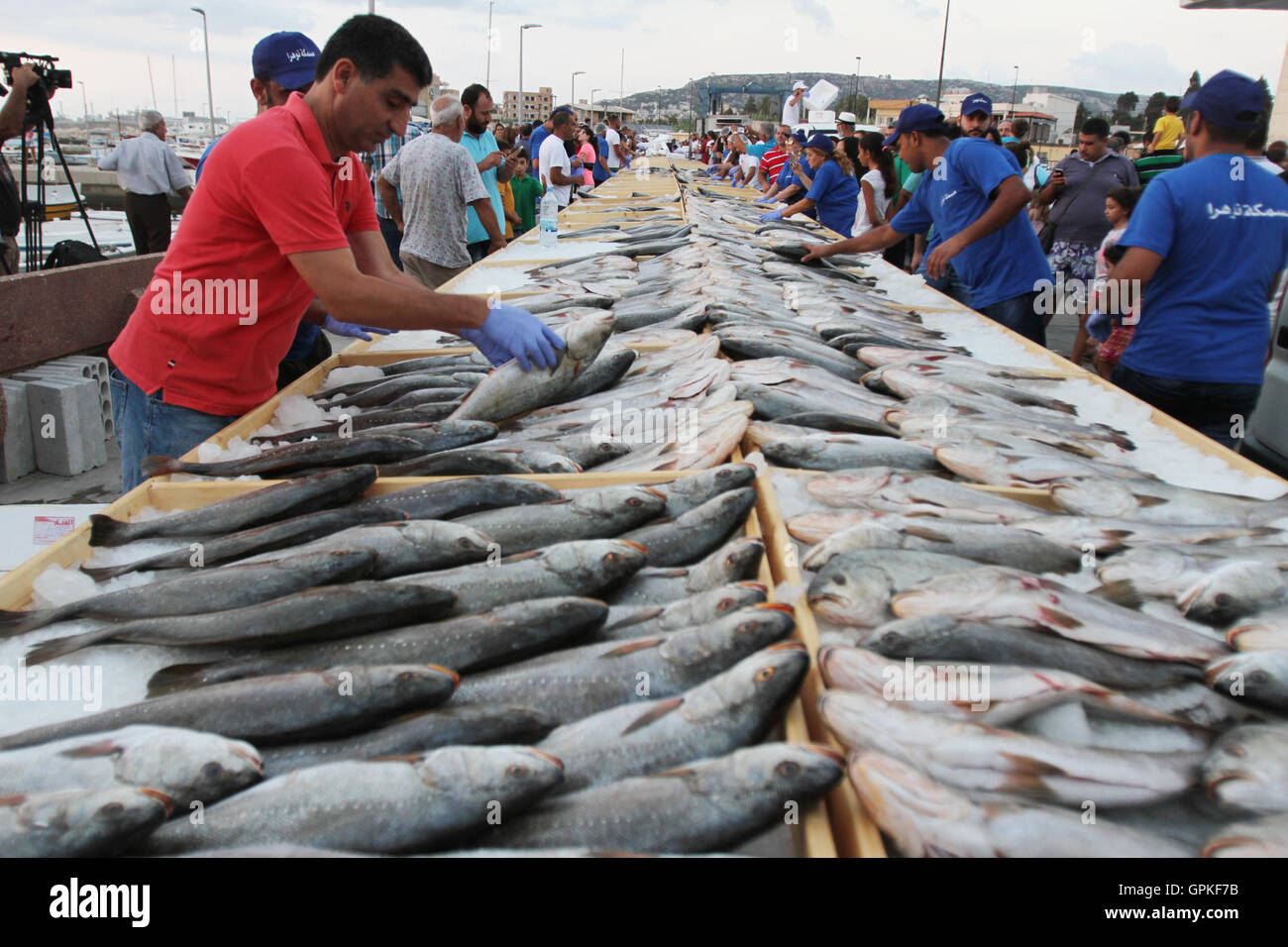 Batroun, Lebanon. 4th Sep, 2016. People display seafood in Batroun ...