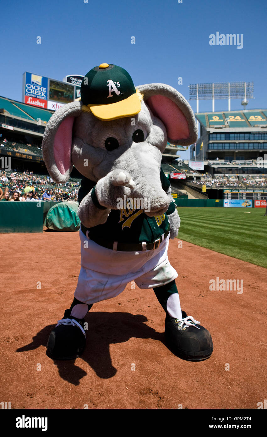 Oakland as mascot hi-res stock photography and images - Alamy