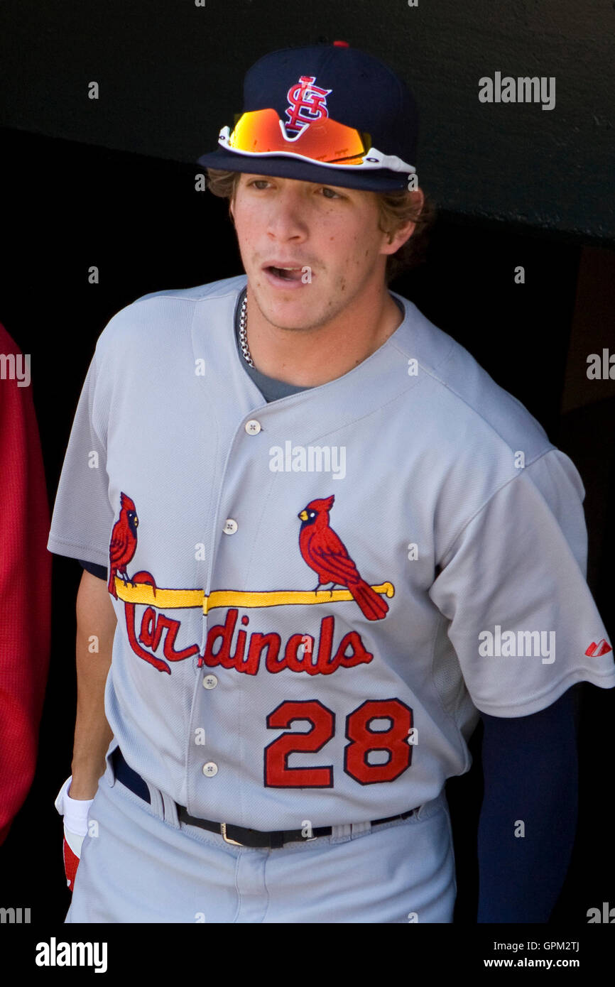 St louis cardinals 2010 hi-res stock photography and images - Alamy