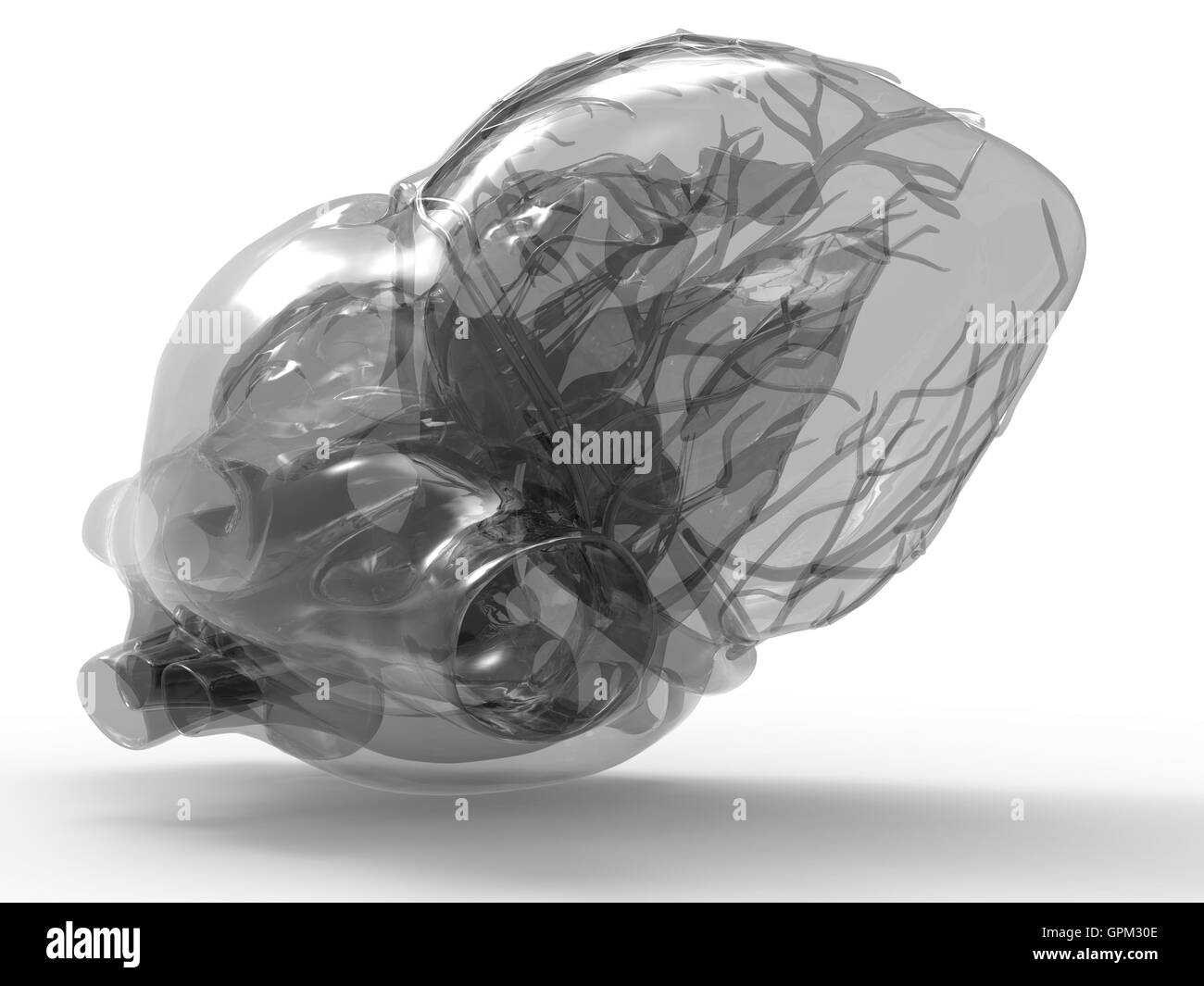 Model healthcare Black and White Stock Photos & Images - Alamy