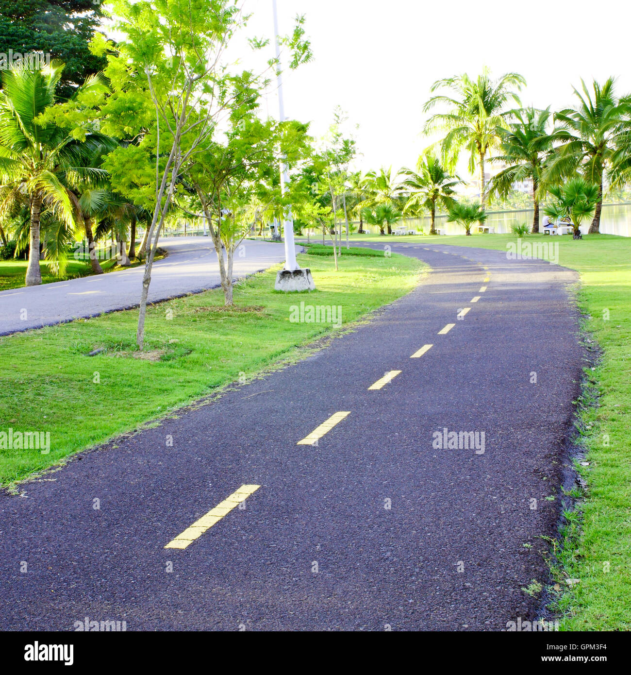 sinuous bicycle path Stock Photo - Alamy