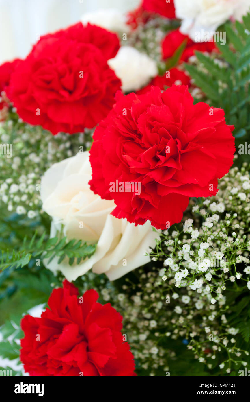 Carnation floral arrangements hi-res stock photography and images - Alamy