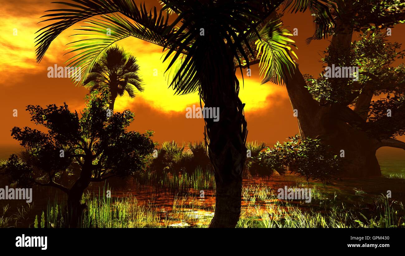 Wetland - swamp Stock Photo - Alamy