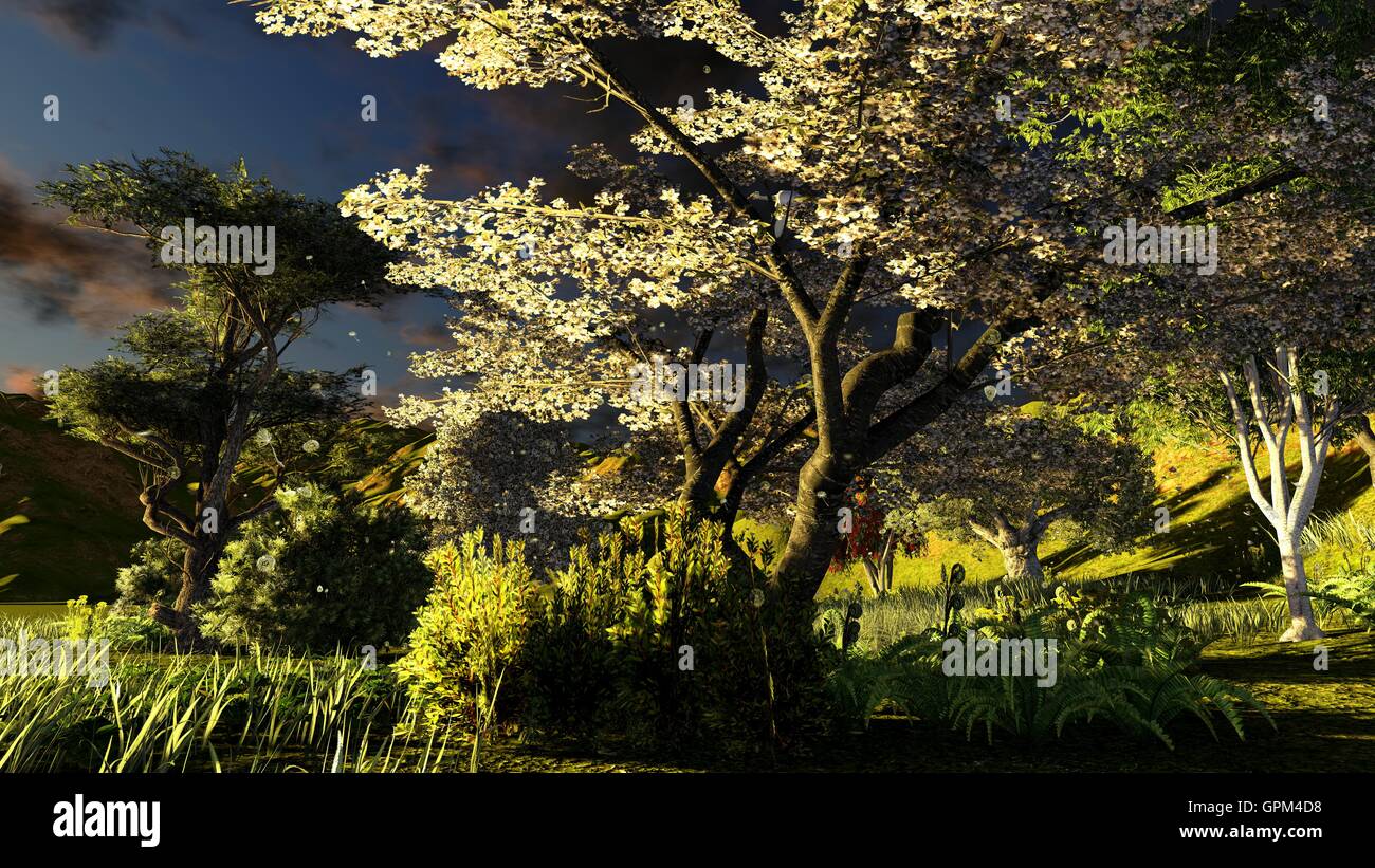 Orchard in early spring time Stock Photo - Alamy