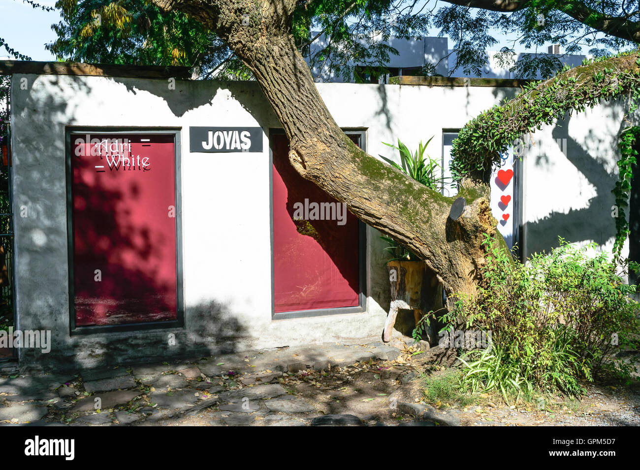 the tree in front of shop Stock Photo - Alamy