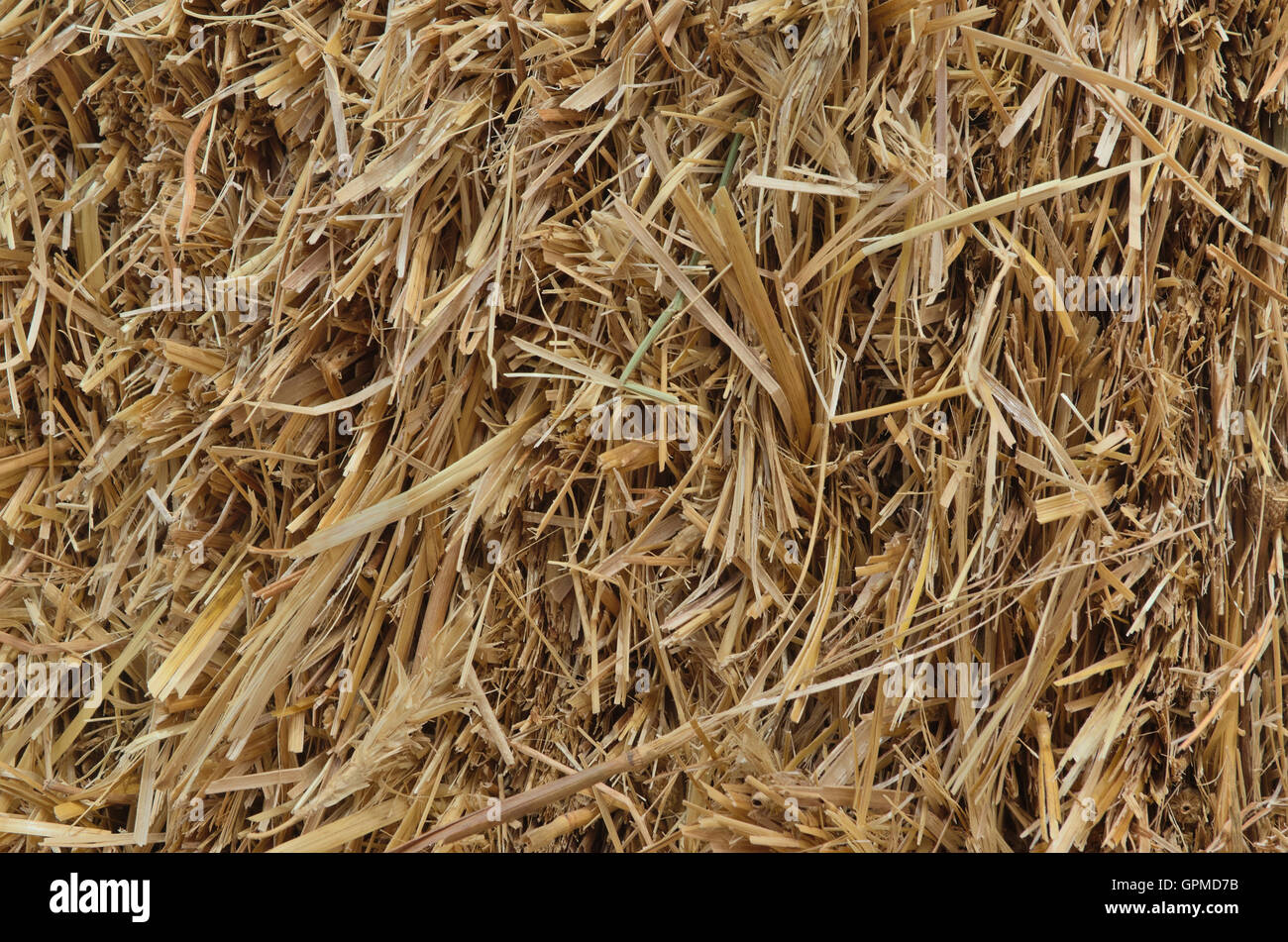 Straw stacks. Farming backgrounds and textures Stock Photo - Alamy