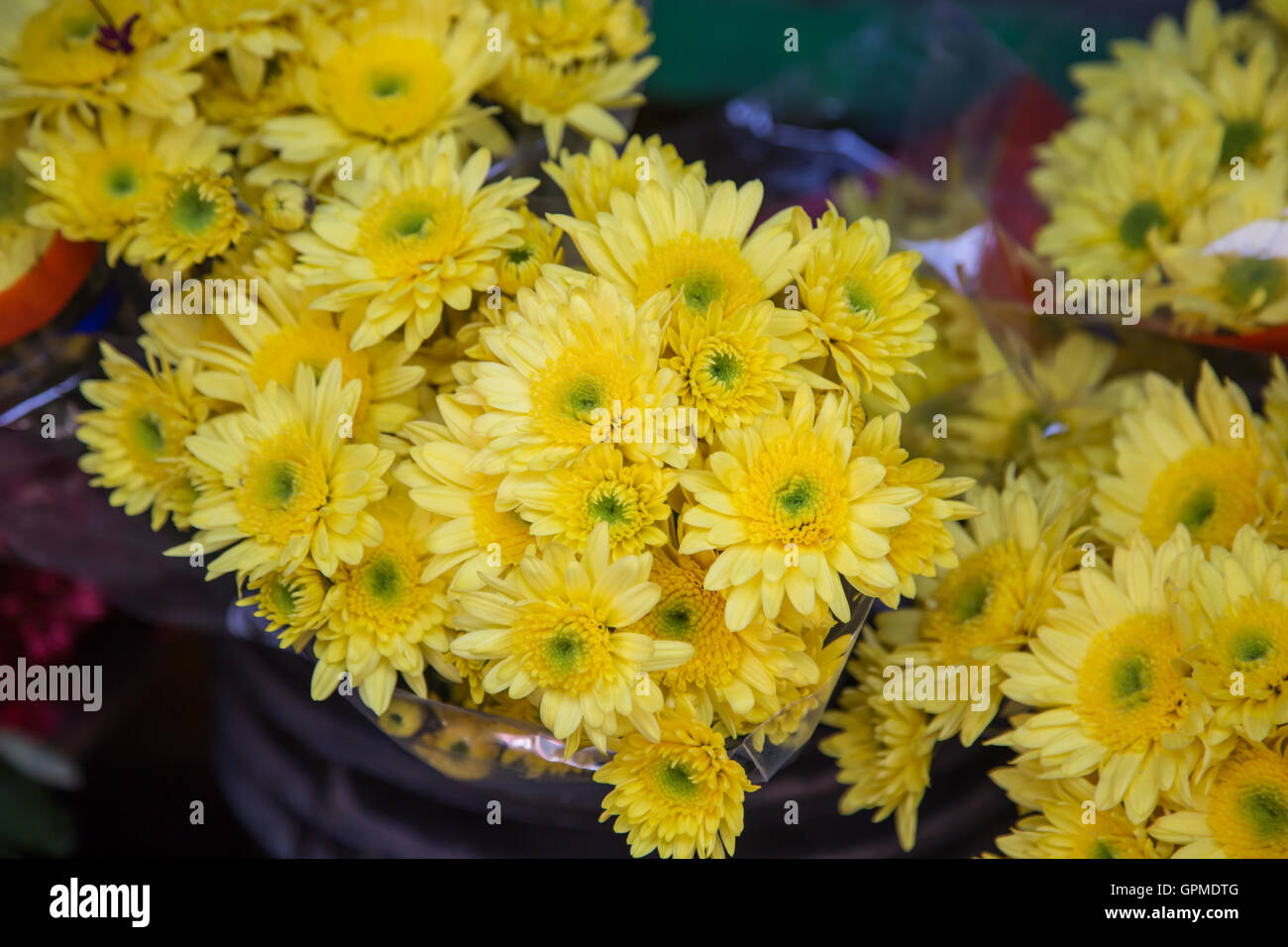 yellow flower group from boutique Stock Photo - Alamy