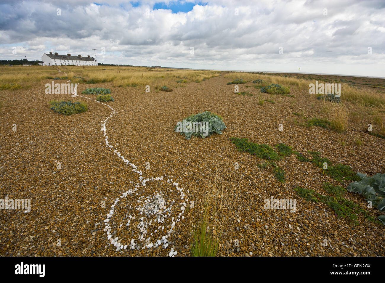 Shingle street suffolk shell line hi-res stock photography and images ...