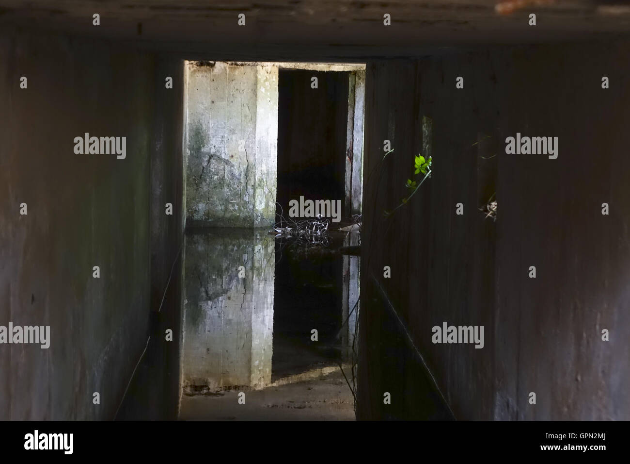 World War Two Coastal Defence East Lane Bawdsey Stock Photo - Alamy