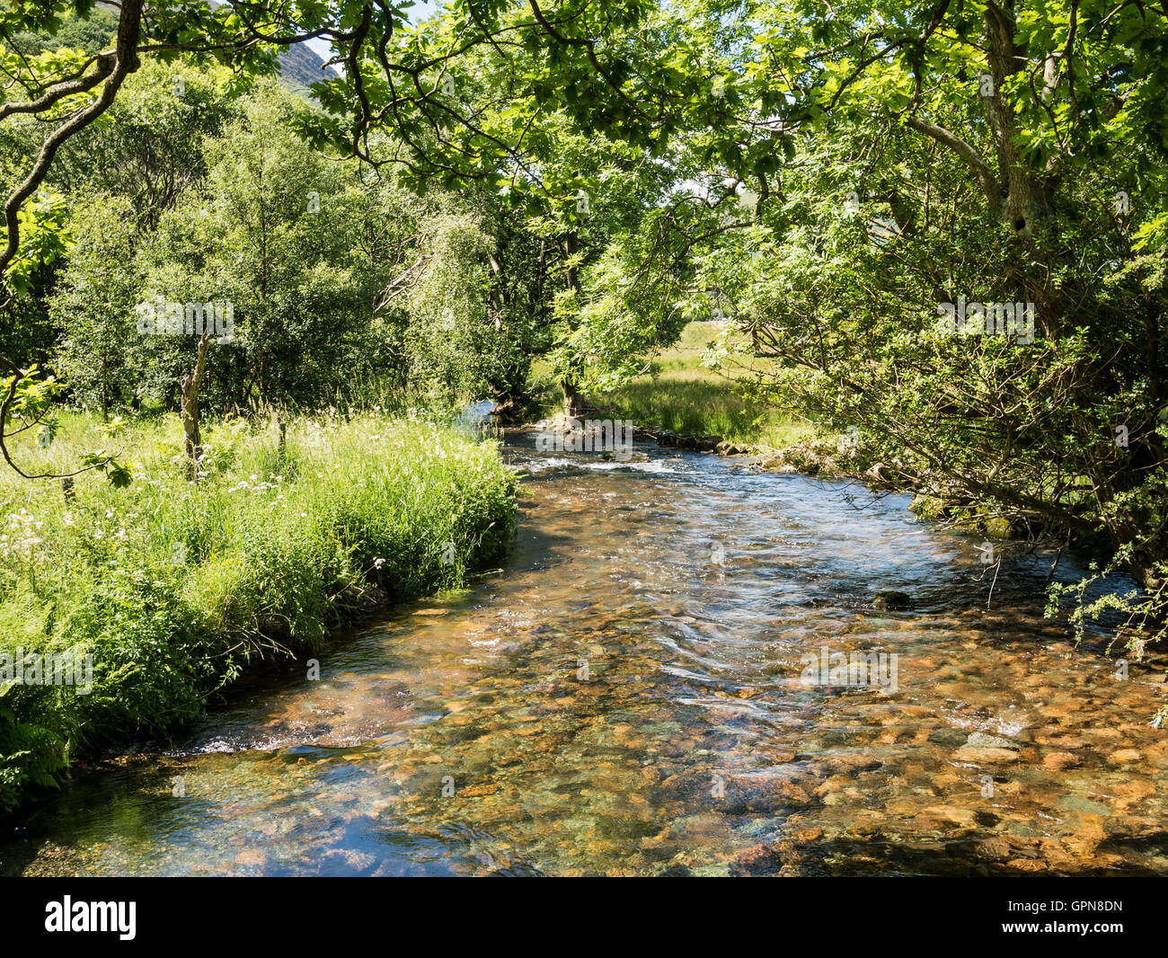 Stream in Summer Lake District UK Stock Photo - Alamy