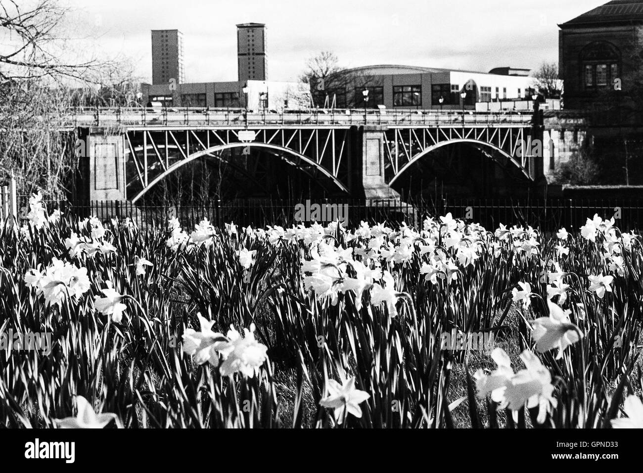 Flowers and weir Stock Photo - Alamy