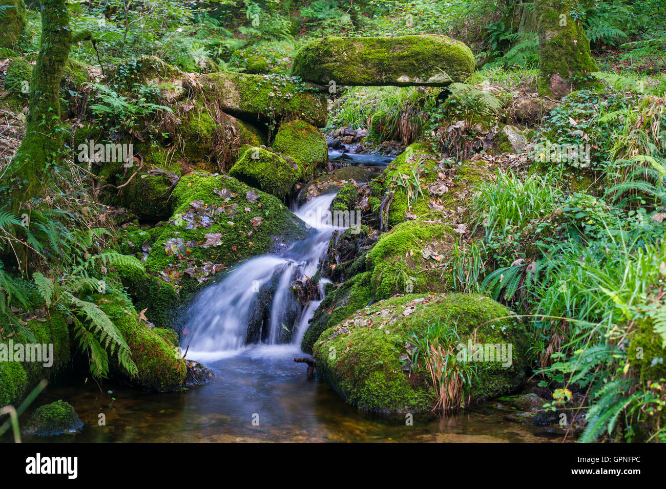 Rivers and waterfalls on Dartmoor in Devon Stock Photo - Alamy