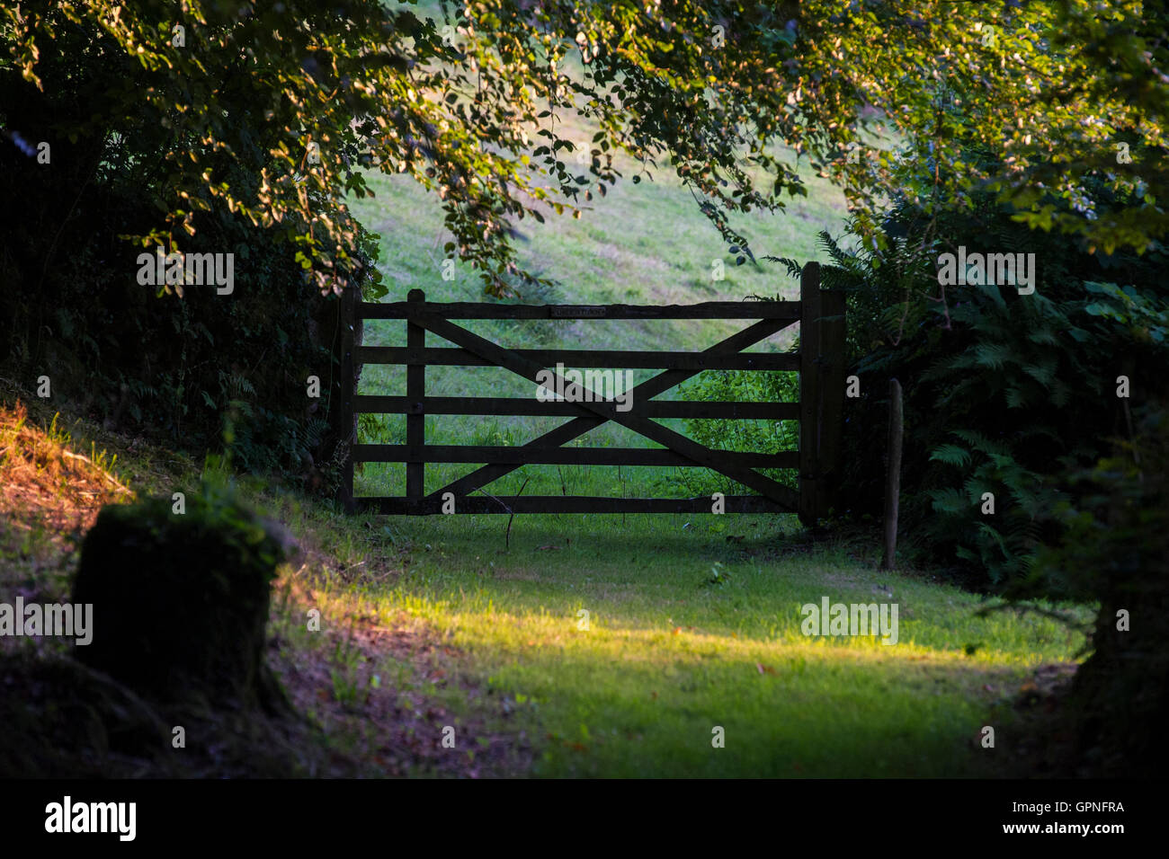 A five bar gate in Devon countryside Stock Photo - Alamy